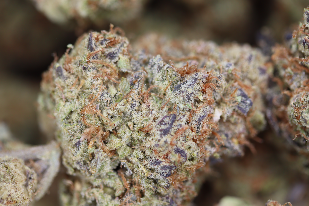 Buy Lemon Diesel (1/2lb) Online | Cannabis Dispensary