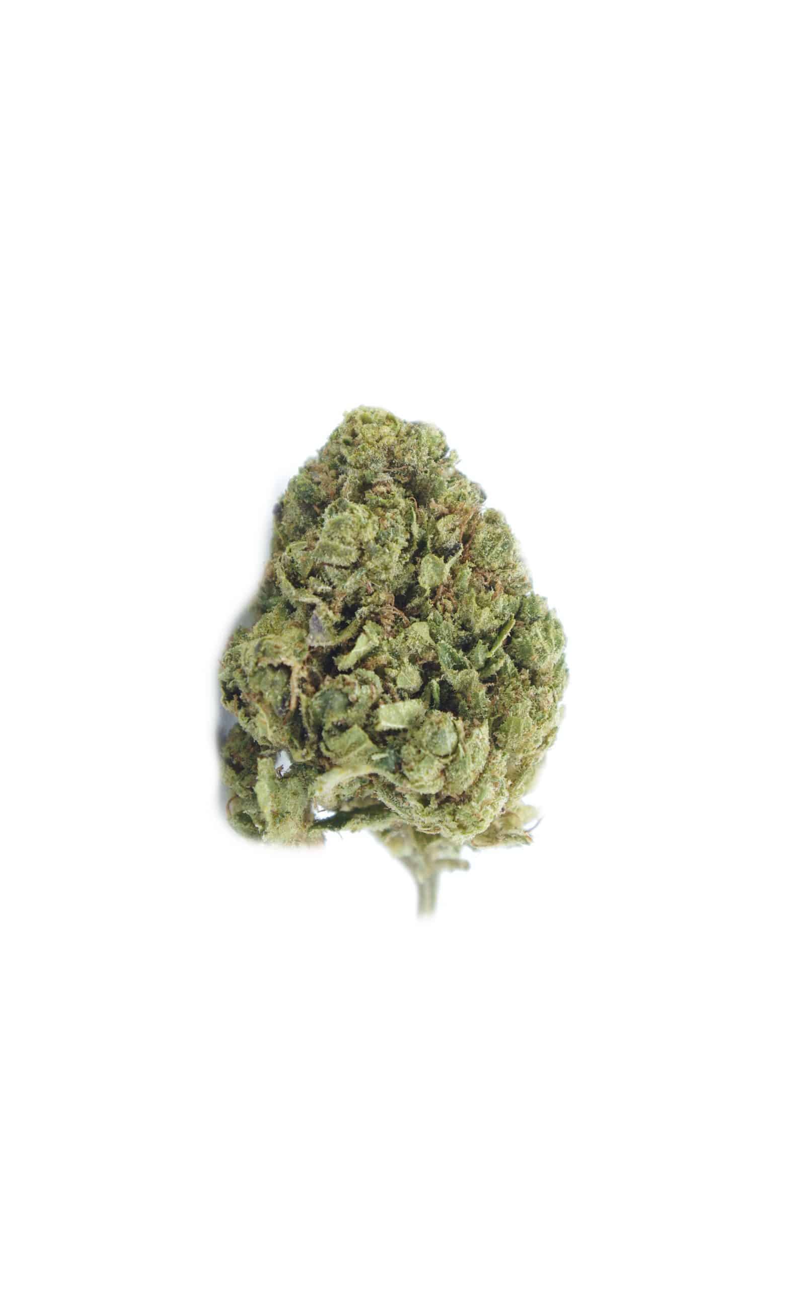 Buy Afghani Kush (Oz Special) | Cannabis Dispensary Buy Afghani Kush (Oz Special) | Cannabis Dispensary