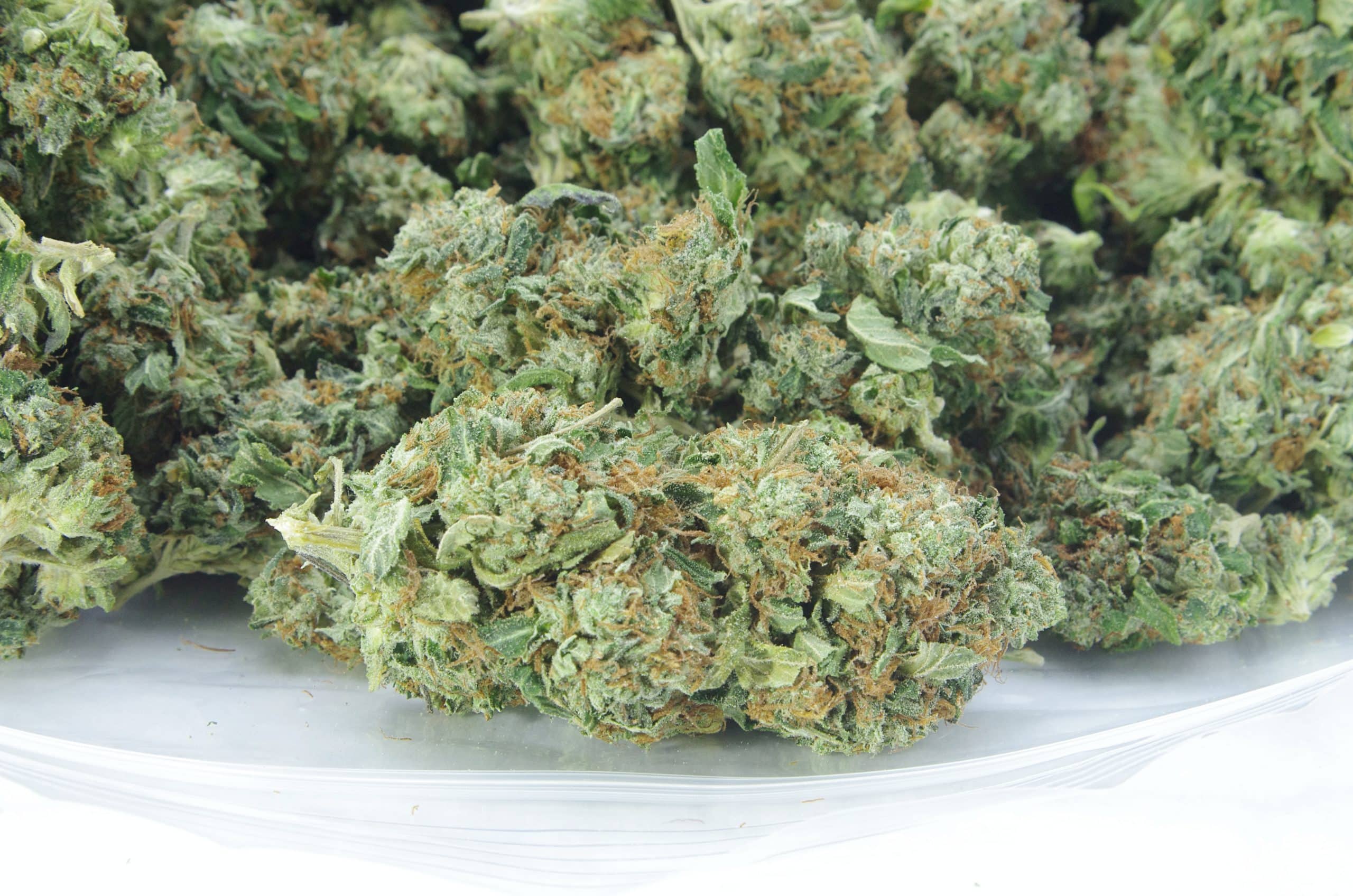 Buy Island Pink (Oz Special) | Cannabis Dispensary