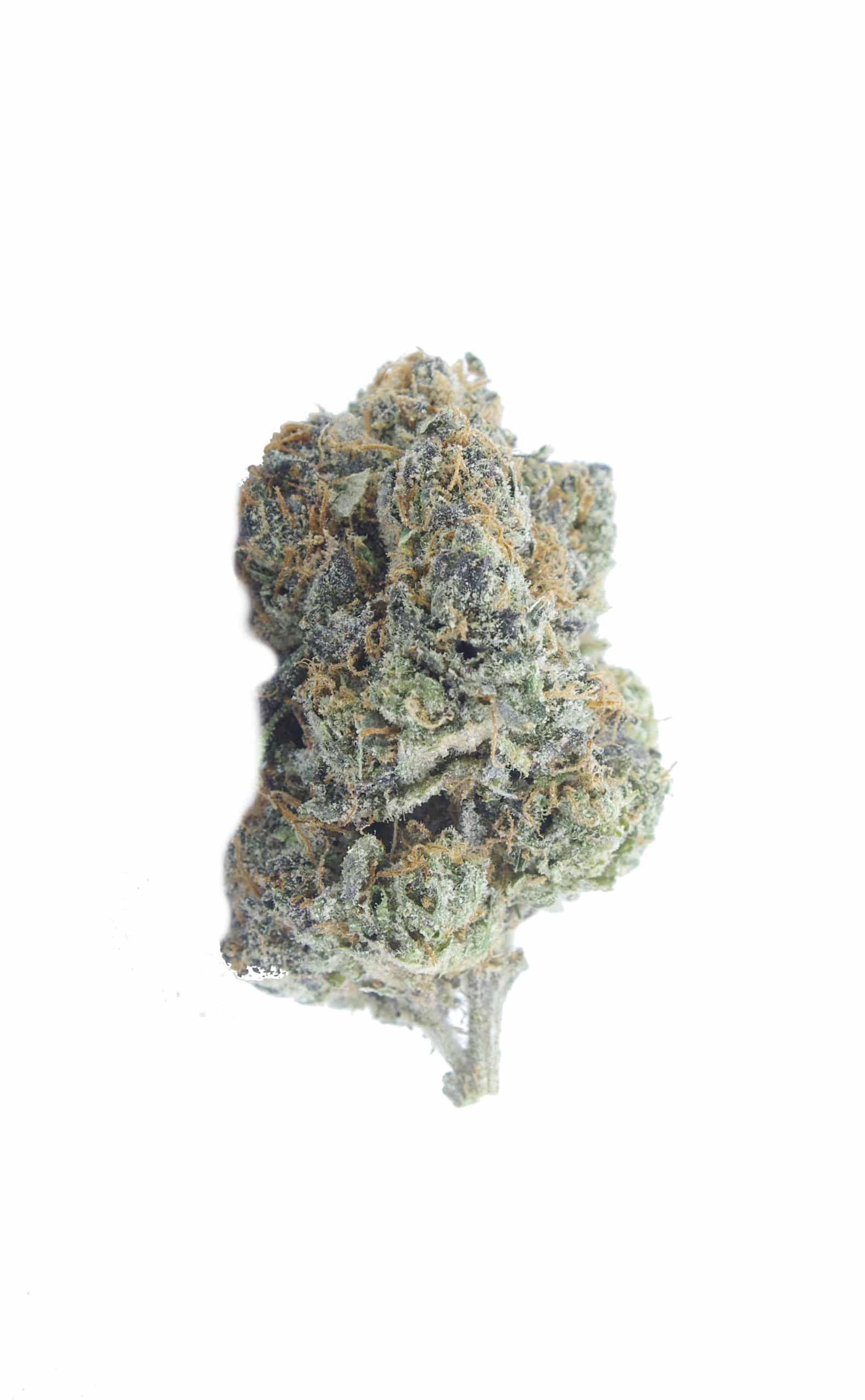 Buy Jet Fuel Gelato Oz Special | Cannabis Dispensary