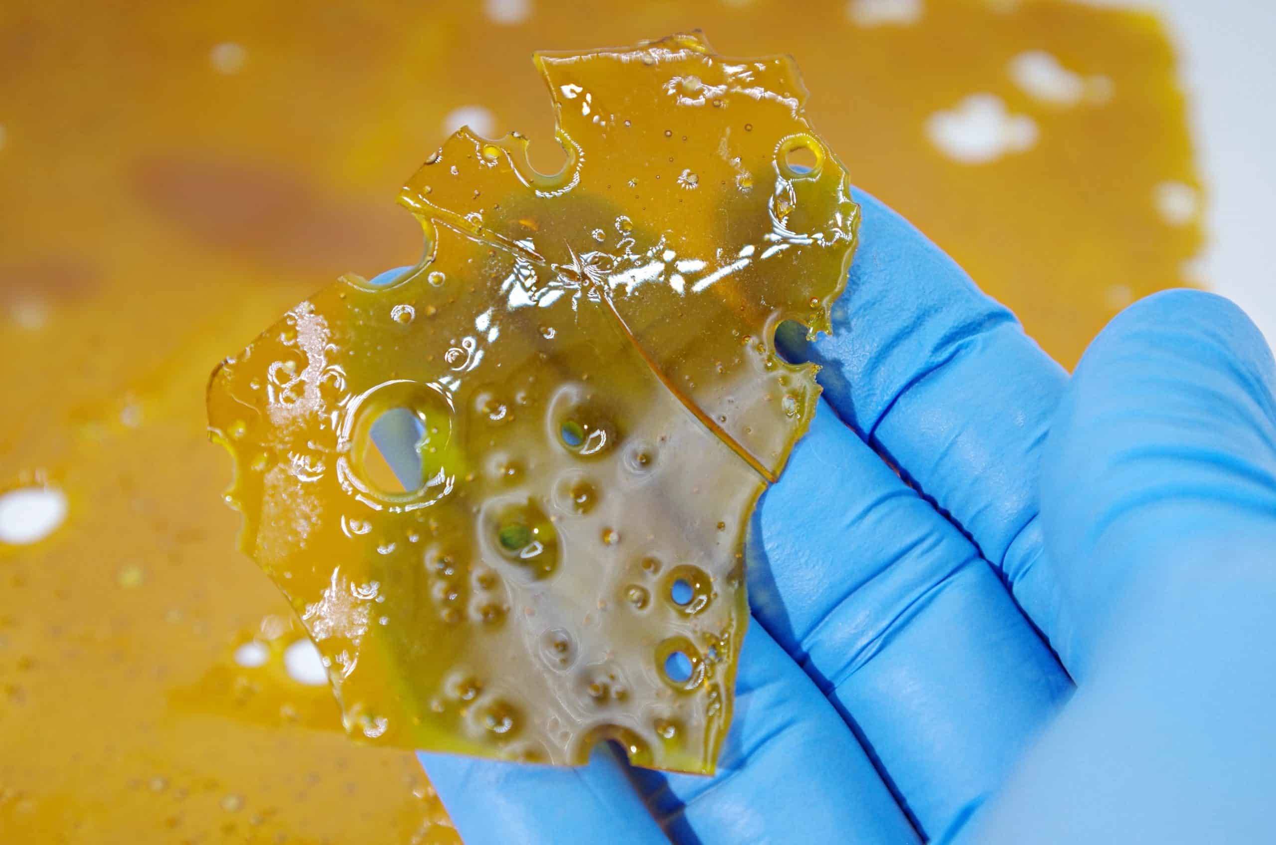 Buy Pink Kush Shatter | Cannabis Dispensary