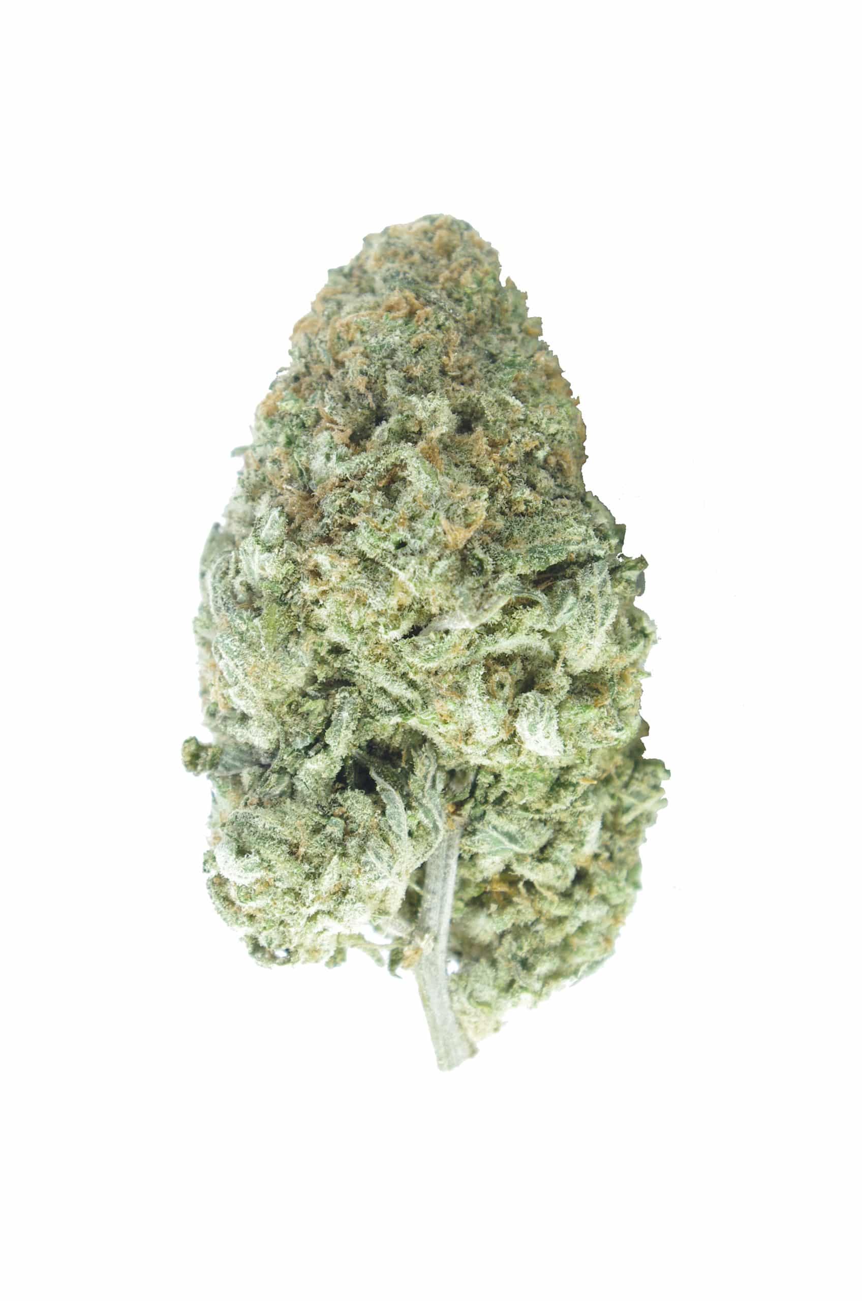 Buy Lemon Sour Diesel (Oz Special) | Cannabis Dispensary