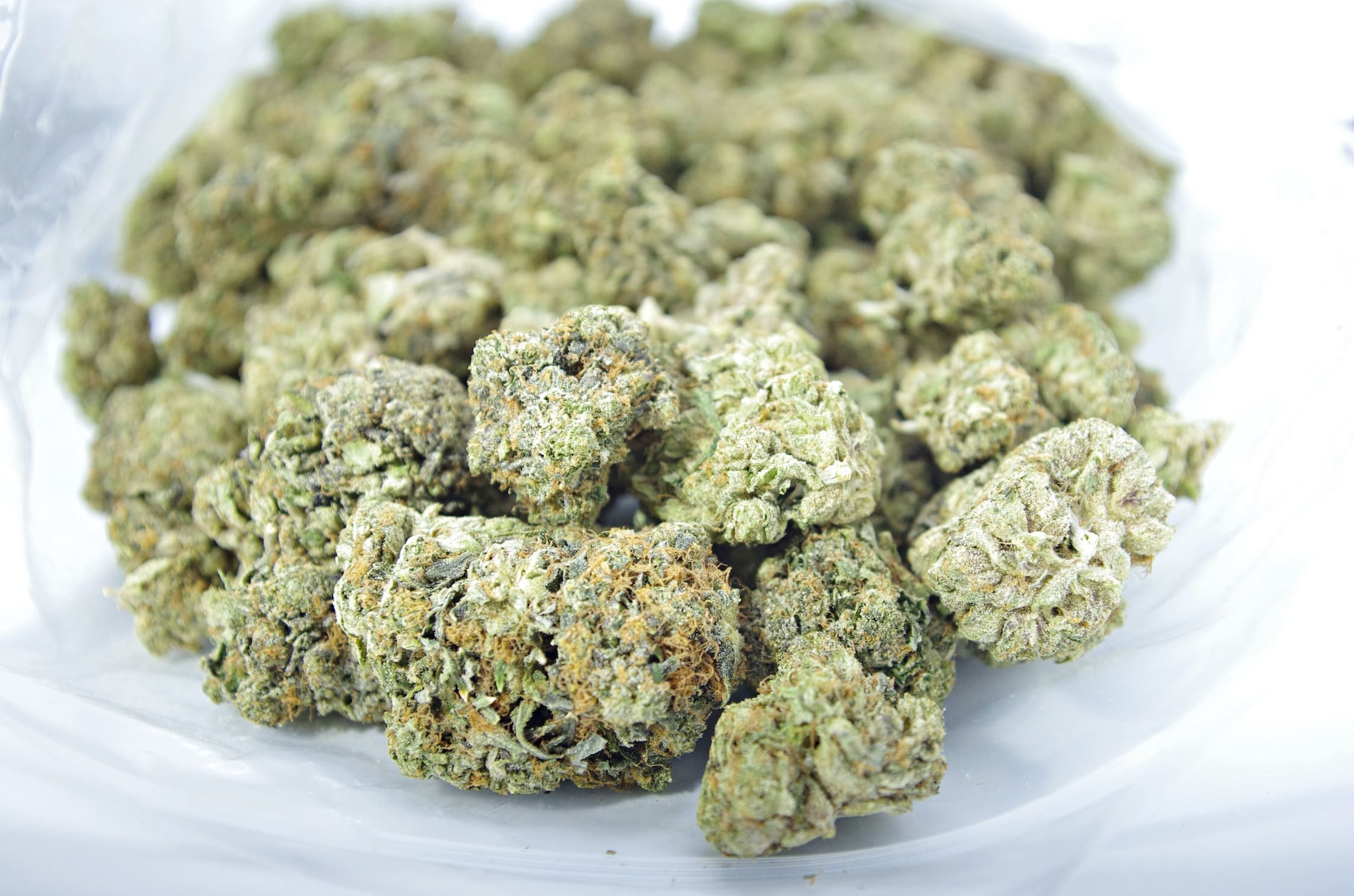 Buy White Shark OG Oz Special | Cannabis Dispensary