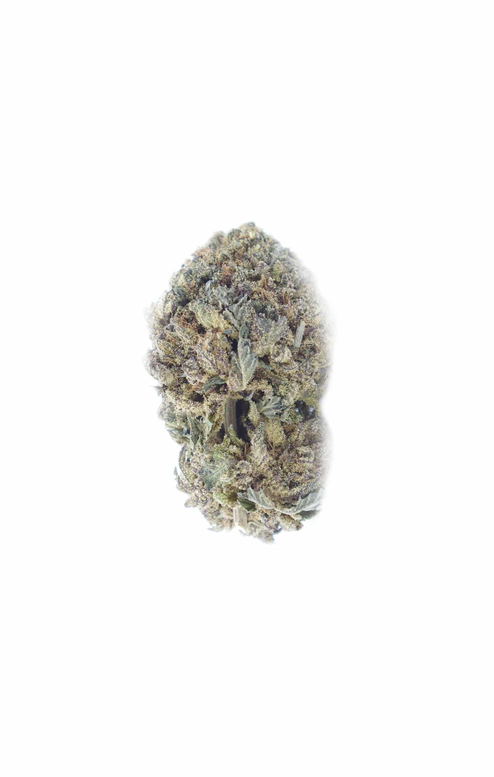 Buy Blackberry Kush (Oz Special) | Cannabis Dispensary Buy Blackberry Kush (Oz Special) | Cannabis Dispensary