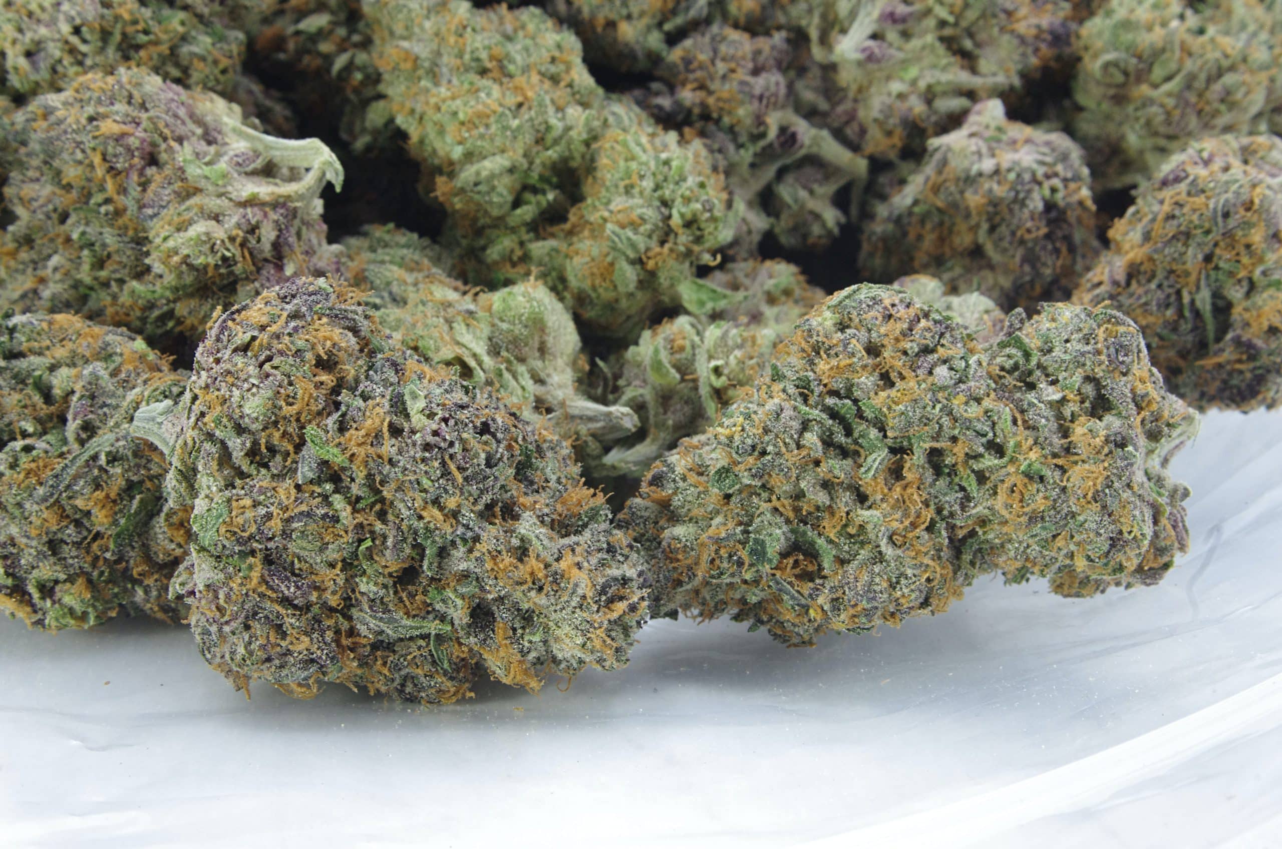 Buy Black Cherry Cola (3.5G) | Cannabis Dispensary