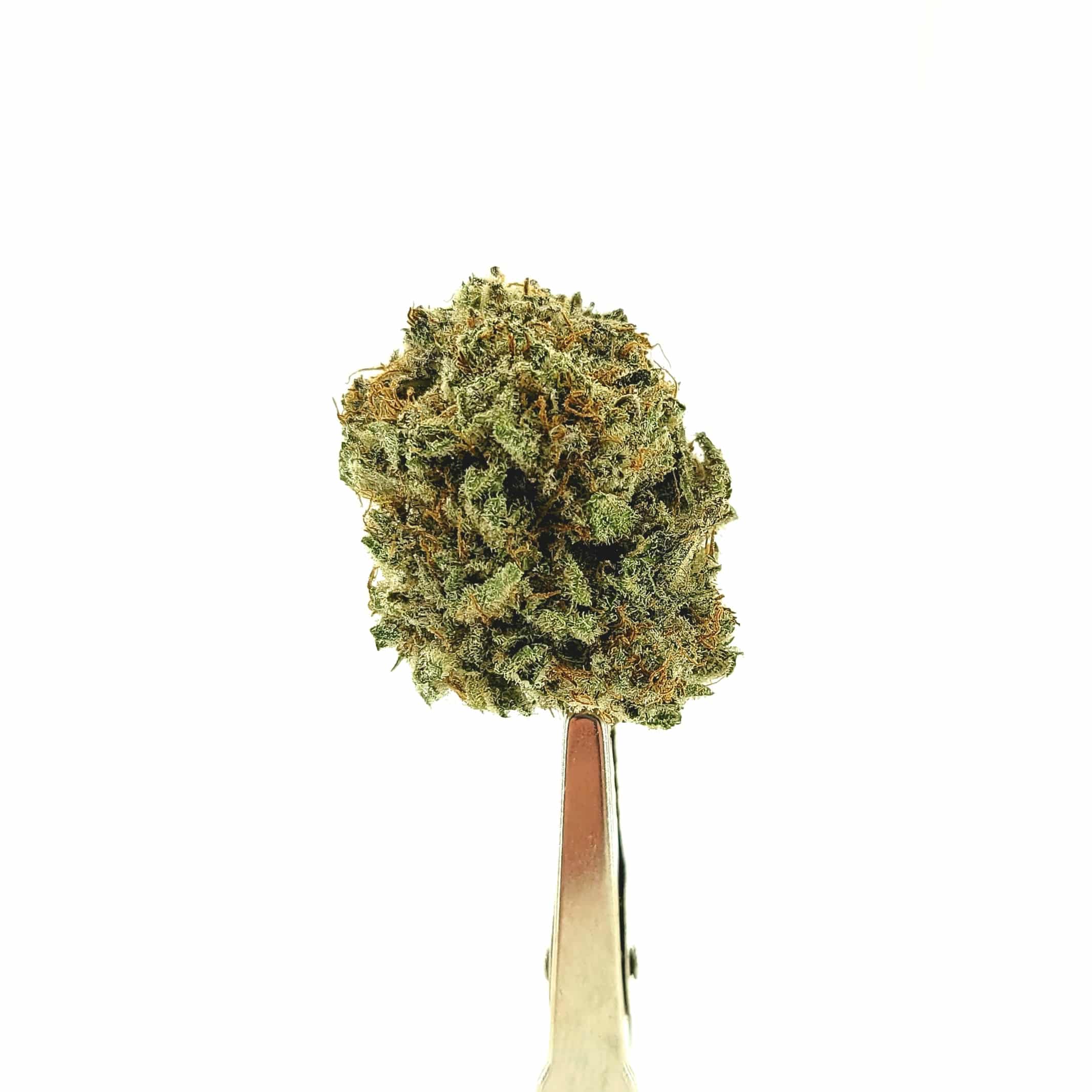 Buy Chocolate Kush (Oz Special) | Cannabis Dispensary