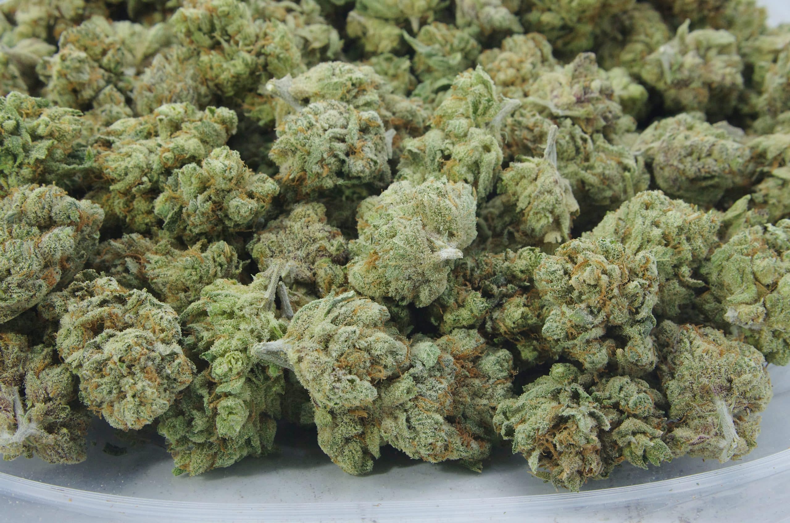 Buy Lemon Runtz (Oz Special) | Cannabis Dispensary