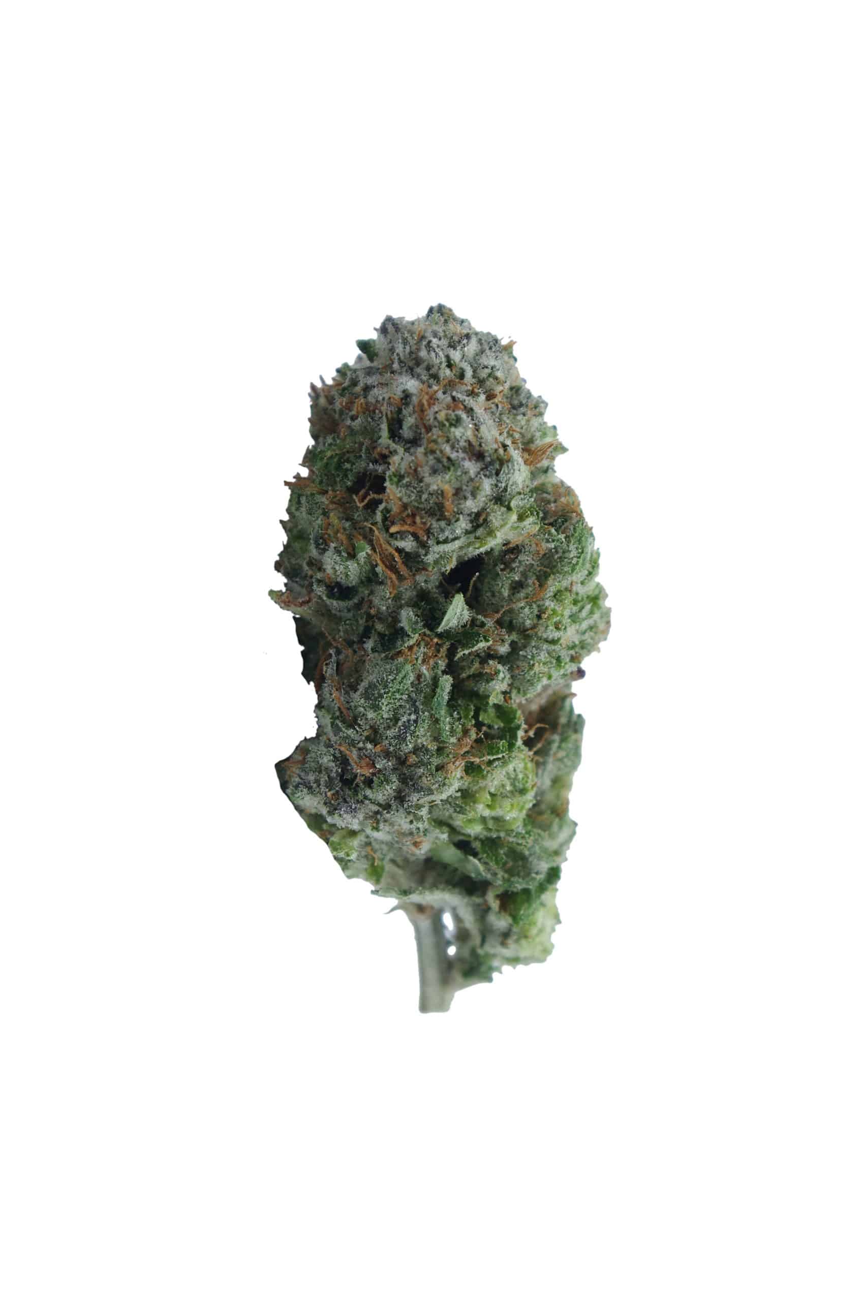 Buy Pink Kush (Oz Special) | Cannabis Dispensary