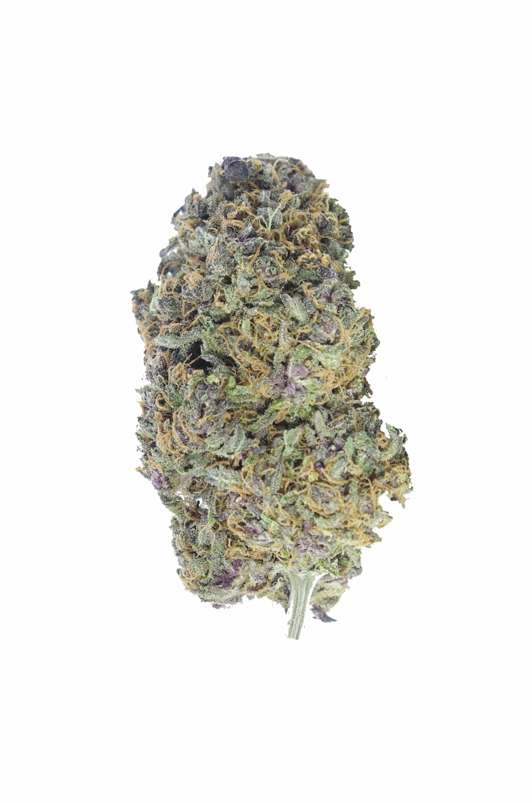 Buy Purple Congo | Cannabis Dispensary