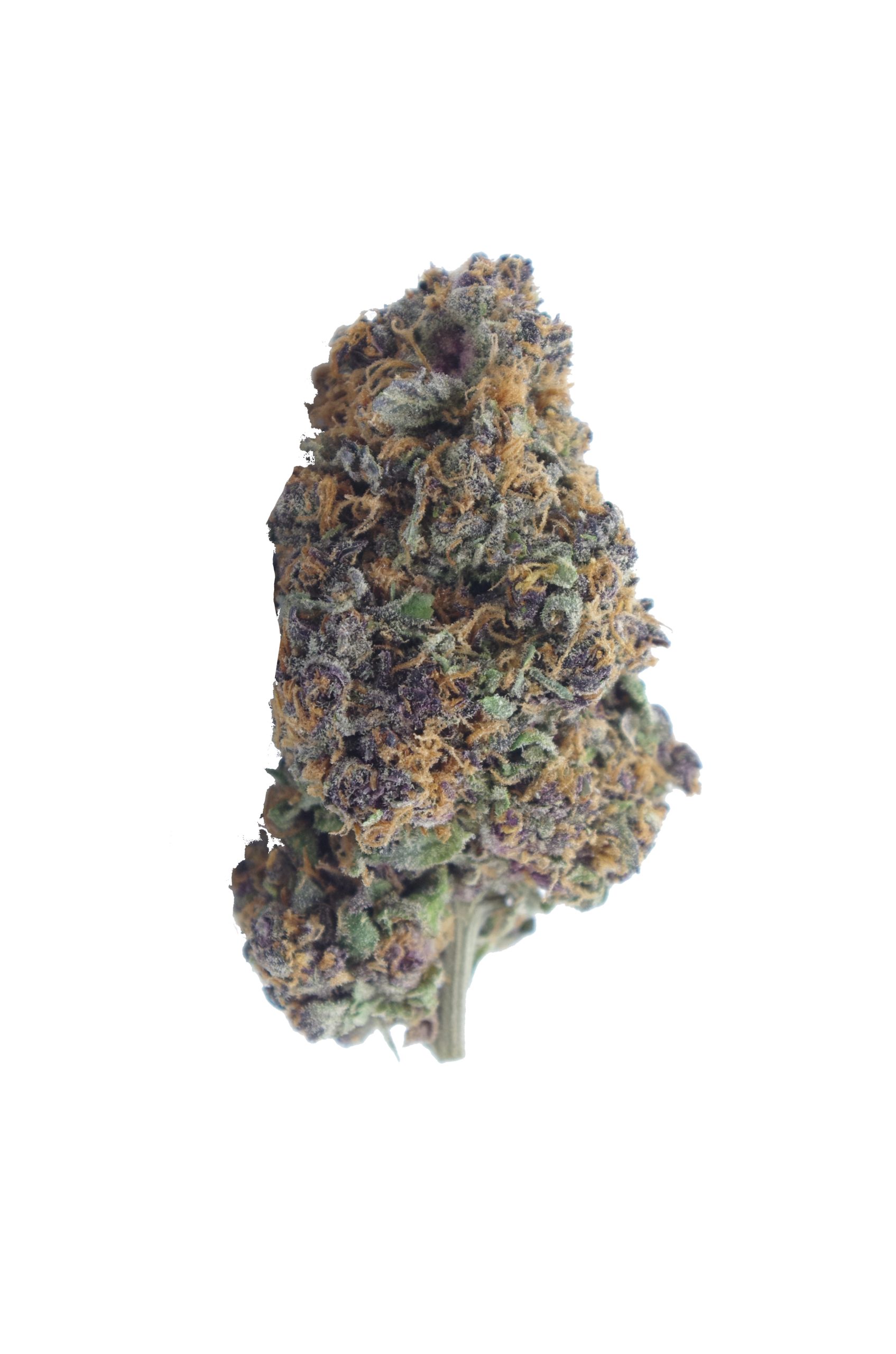 Buy Purple Tangie (Oz Special) | Cannabis Dispensary