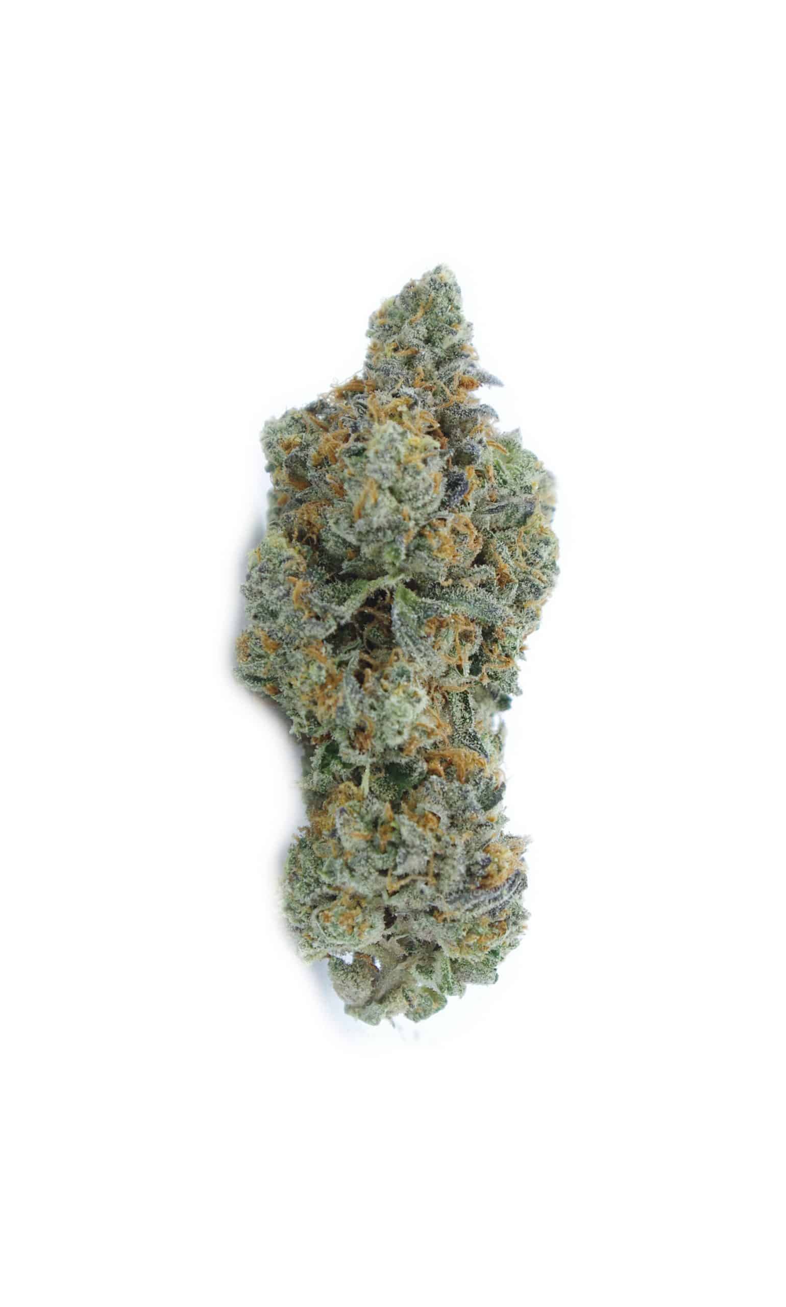 Buy Rainbow Runtz (Grams) | Cannabis Dispensary