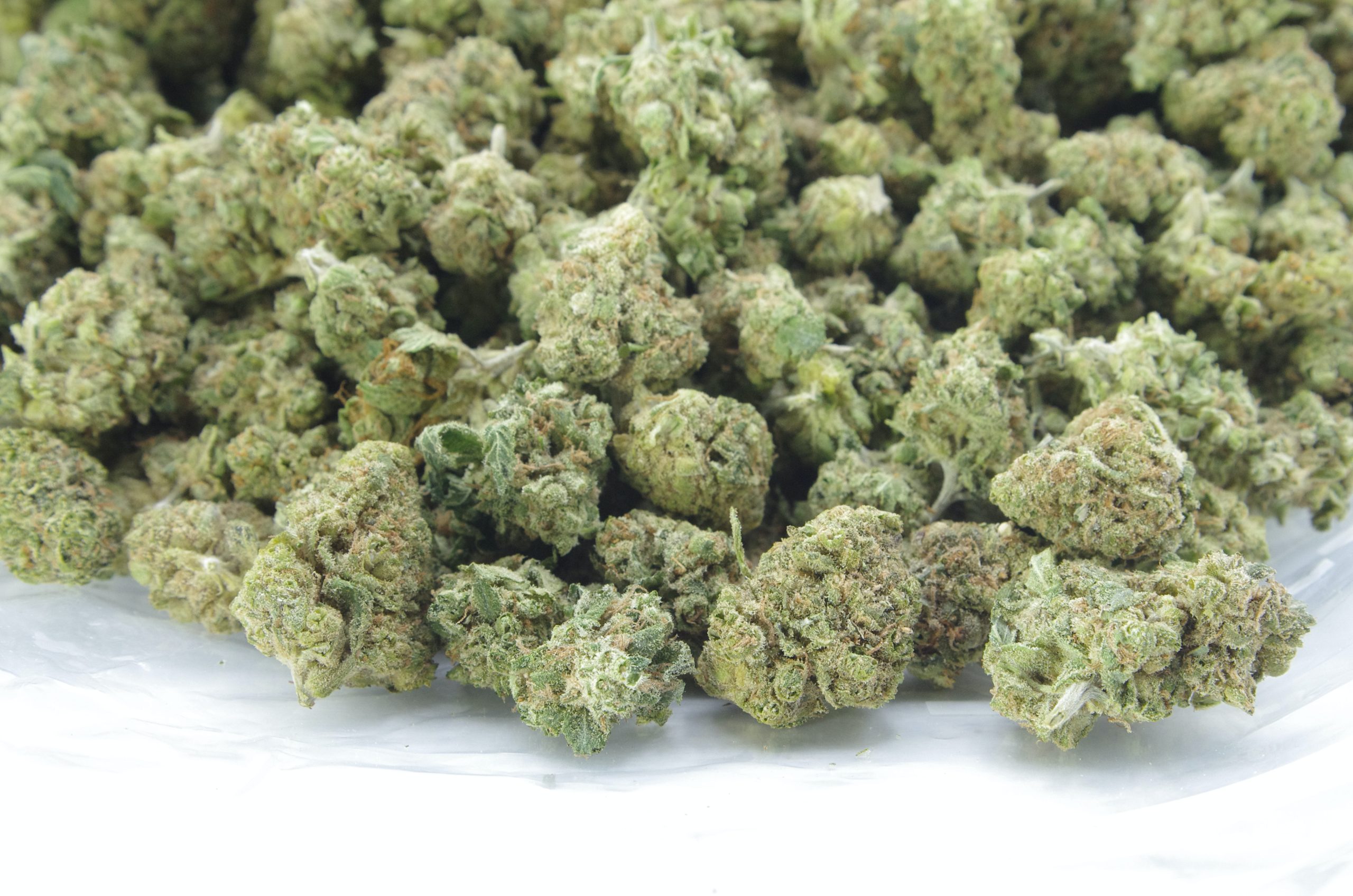 Buy Sherbert OG Smalls (Oz Special) | Cannabis Dispensary