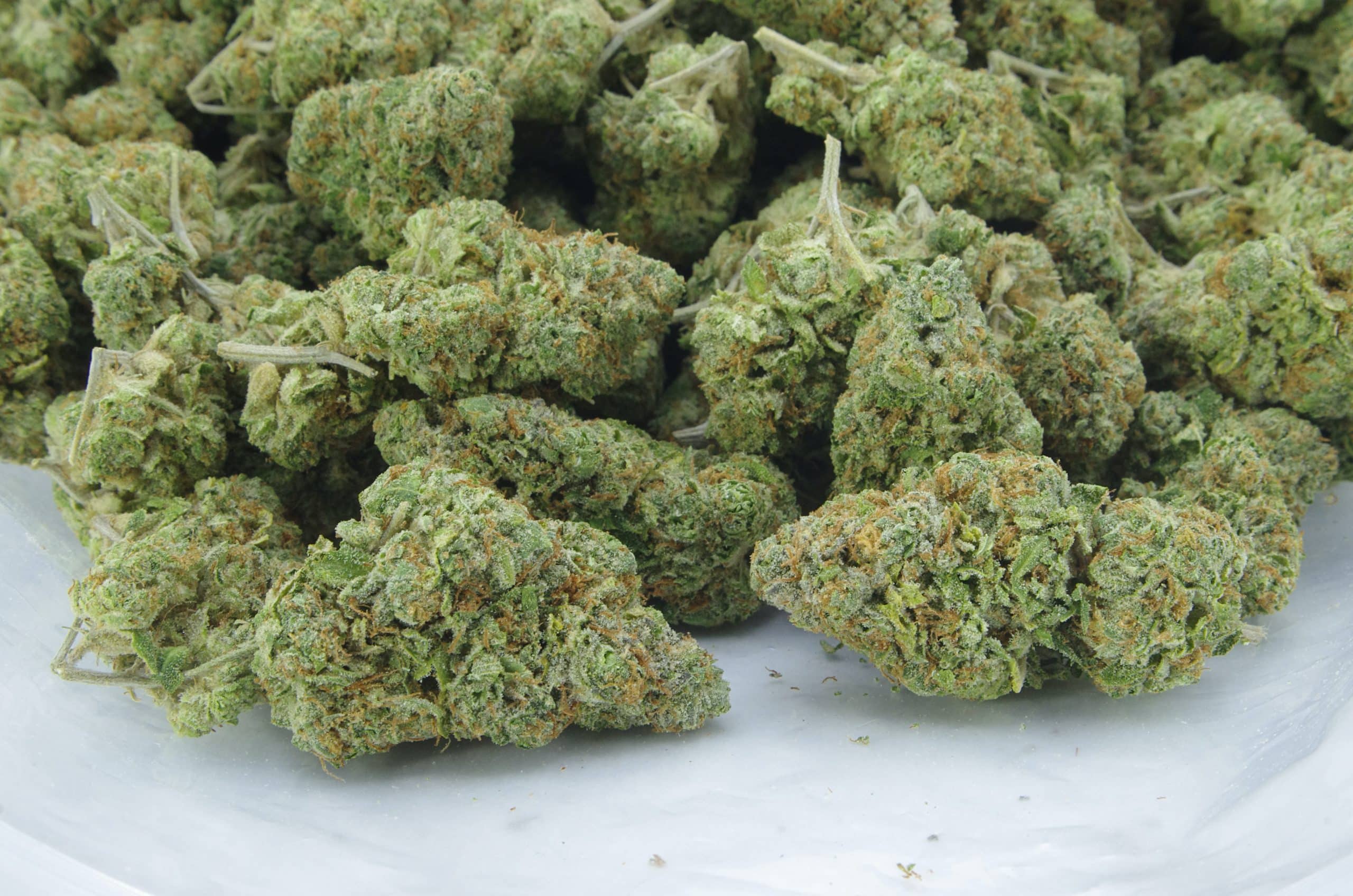 Buy Tire Fire OG (Oz Special) | Cannabis Dispensary