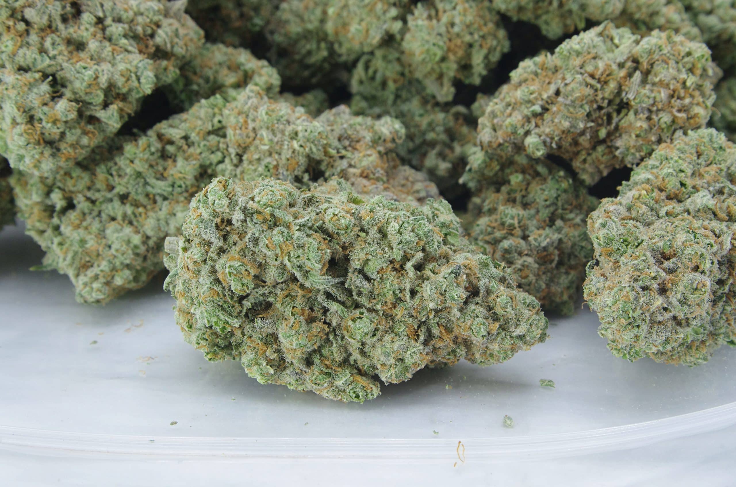 Buy Watermelon Kush (Oz Special) | Cannabis Dispensary