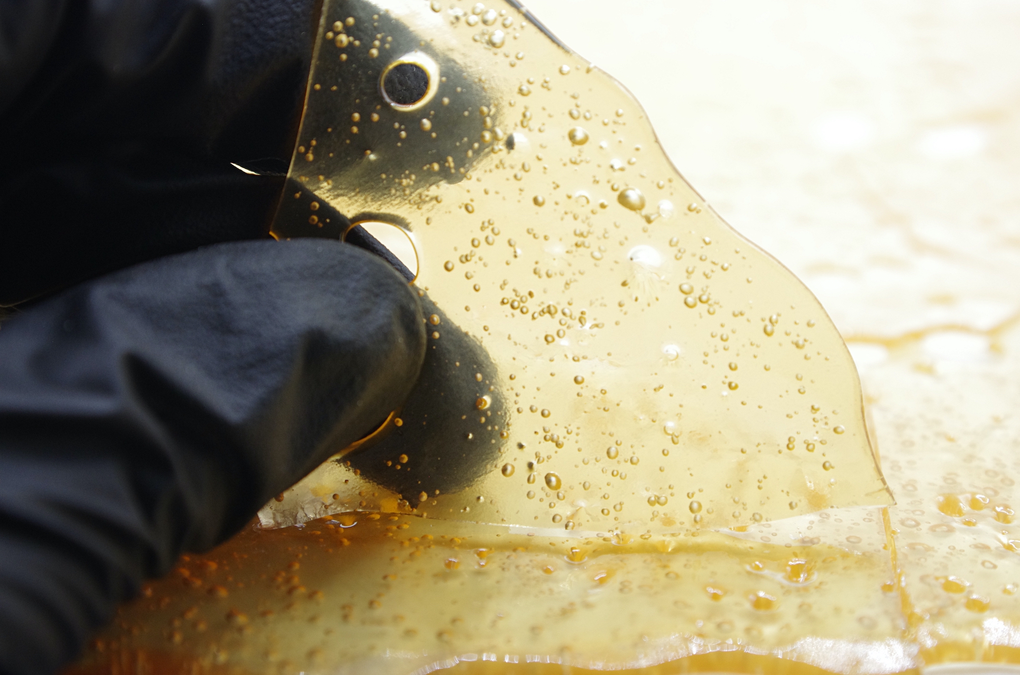 Buy Cherry Pie Kush Shatter | Happy Clouds Buy Cherry Pie Kush Shatter | Happy Clouds