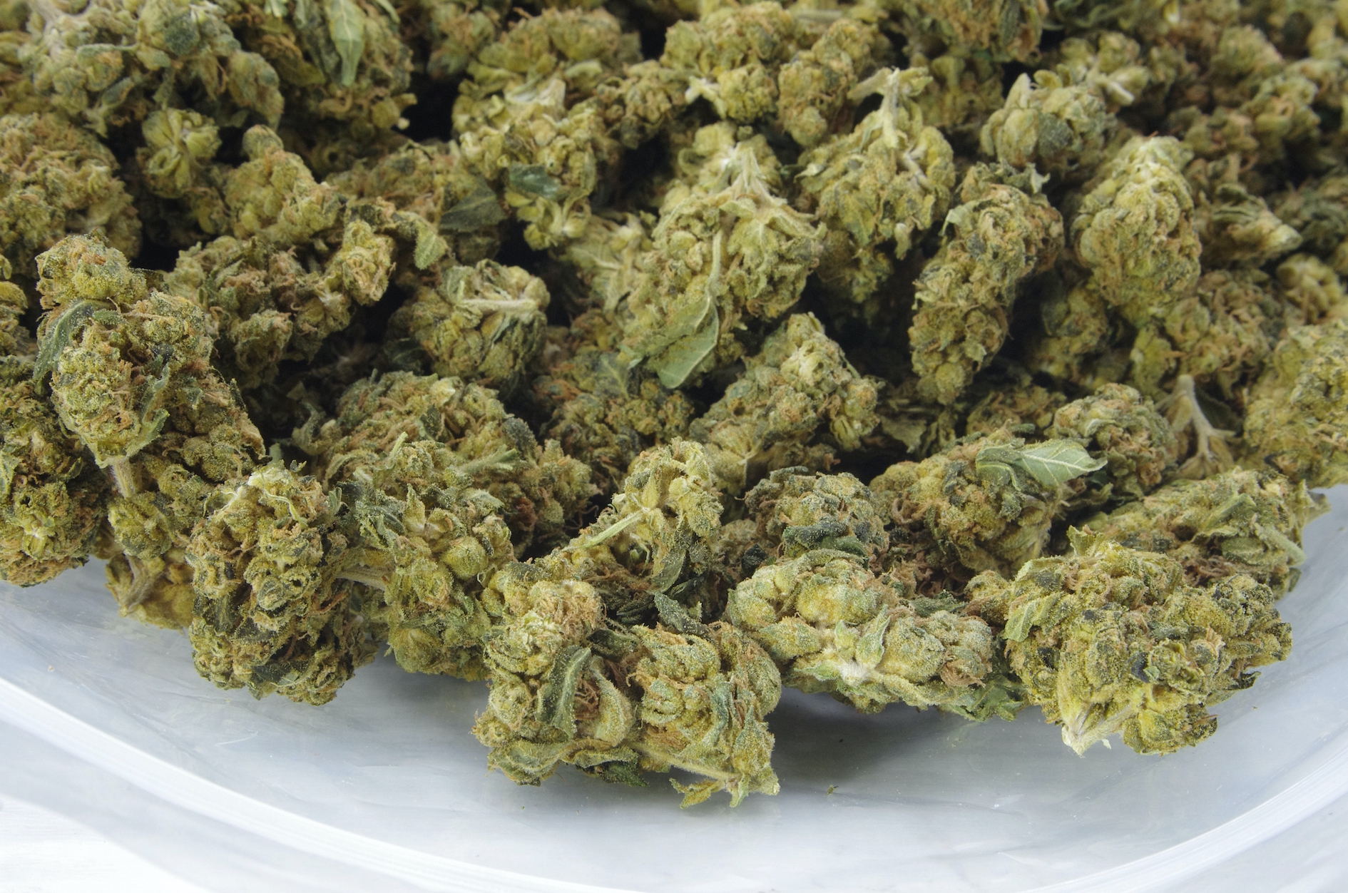 Buy Alaskan Thunder Fuck Smalls (Oz Special) | Cannabis Dispensary