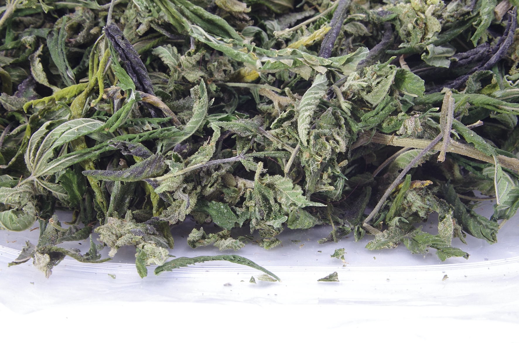 buy Blue Gelato Trim (Oz Special) - Happy Clouds