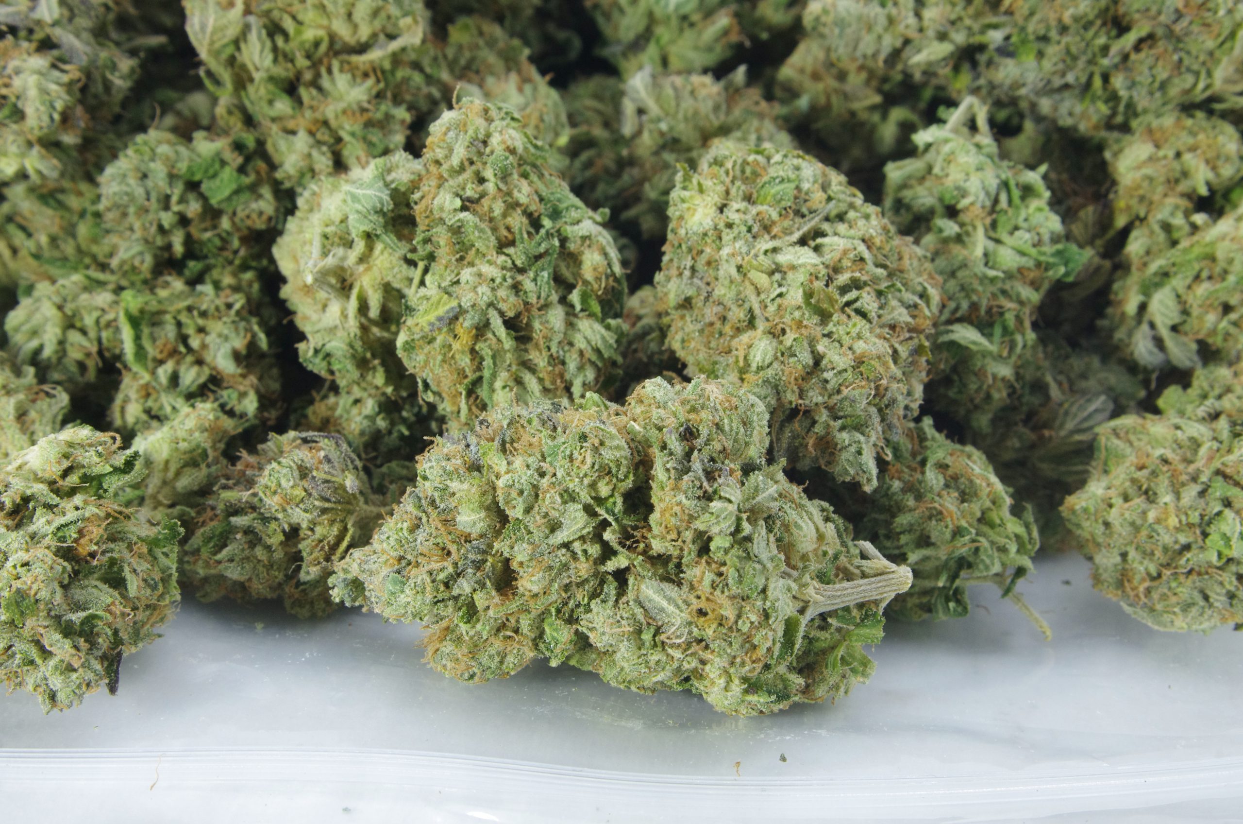 Buy Pink Goo (Oz Special) | Happy Clouds