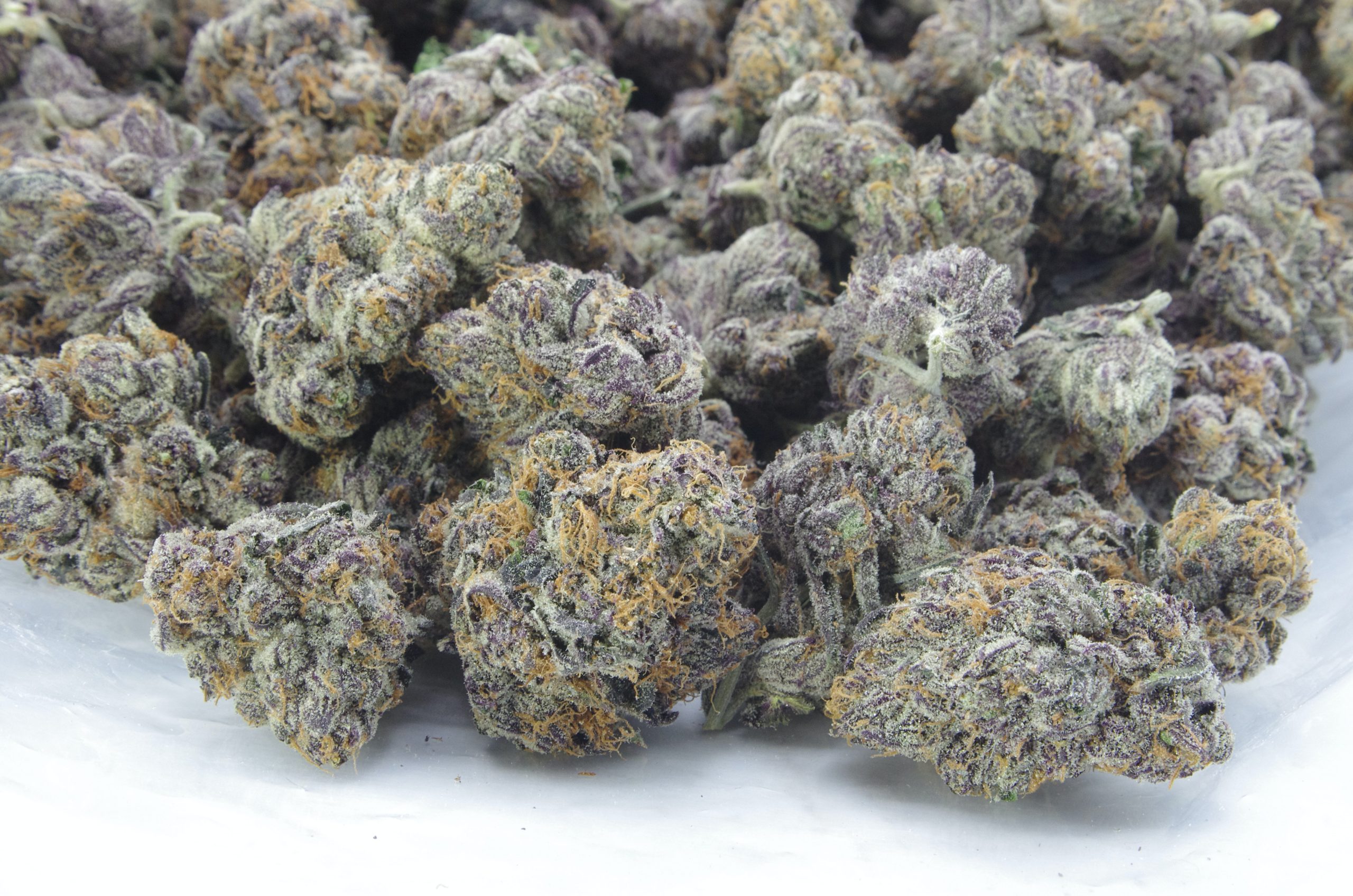 Buy Black Biscotti | Happy Clouds