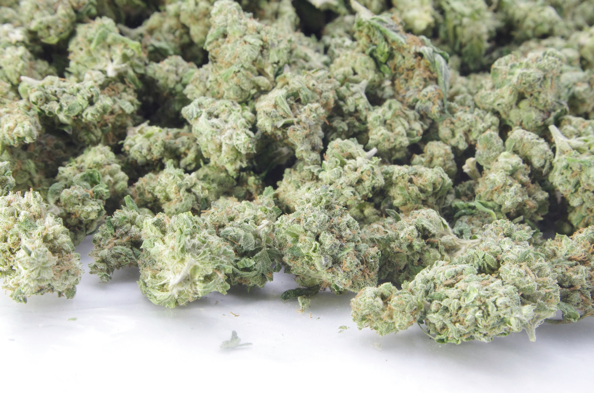 Buy Blue Guava Smalls | Happy Clouds