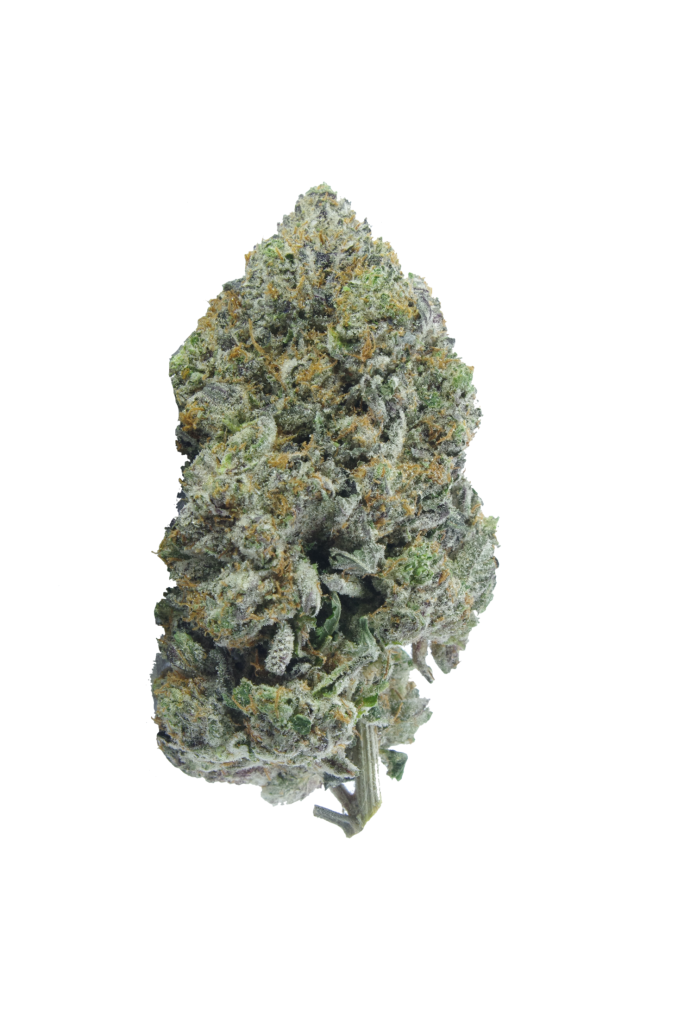 buy Predator Pink online | Happy Clouds