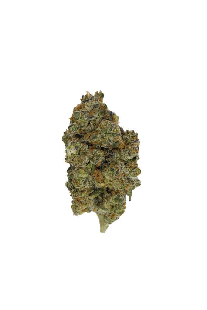 Buy Blue Guava (Oz special) | Happy Clouds