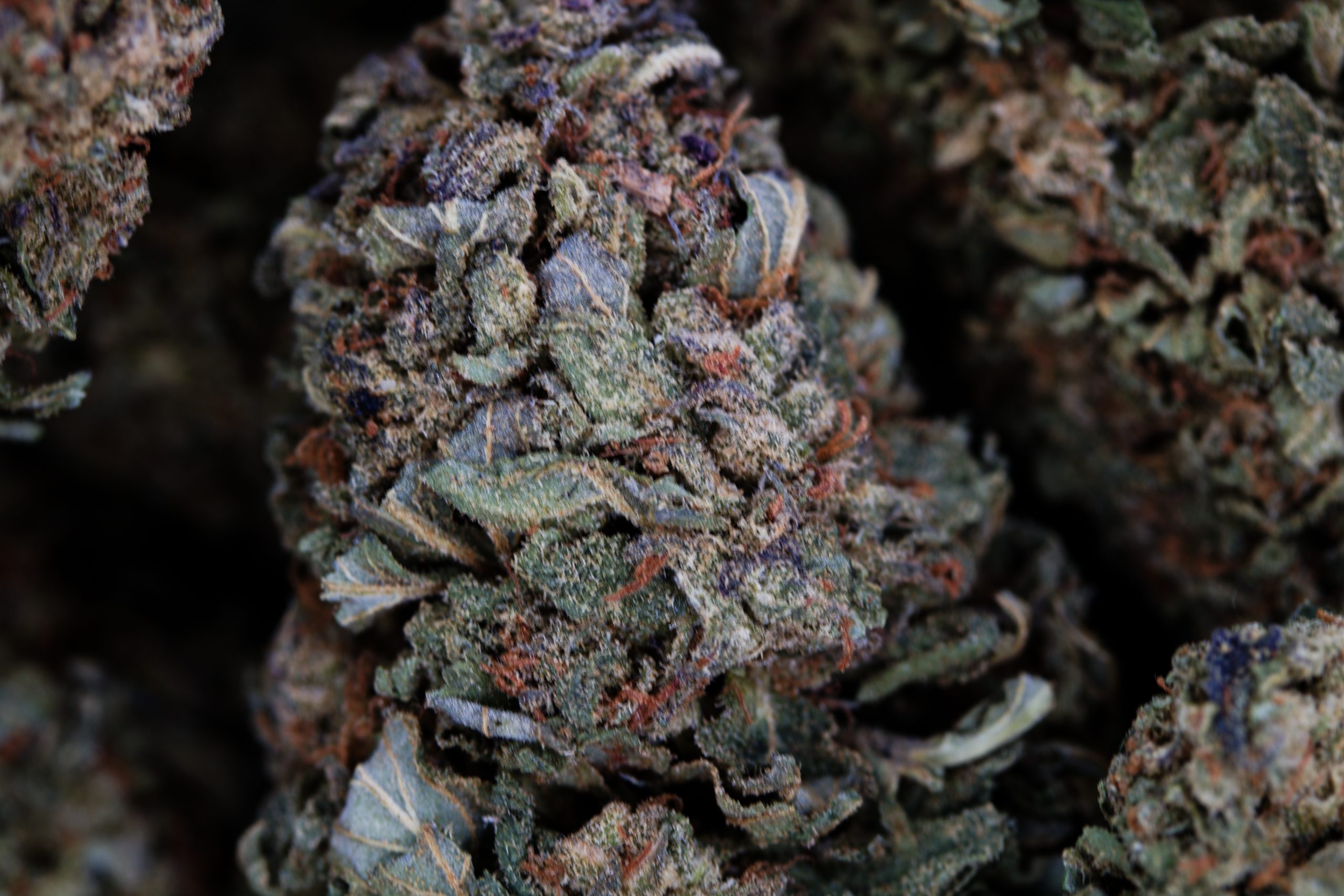 Buy Lemon Skunk | Happy Clouds