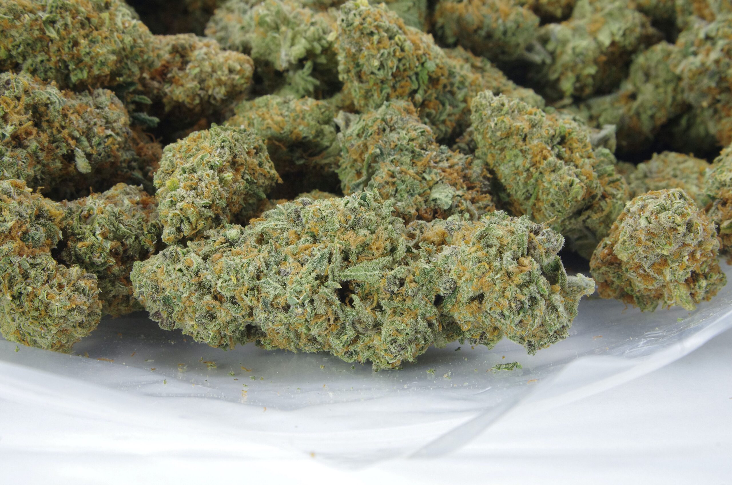 Buy Pink Grapefruit | Happy Clouds