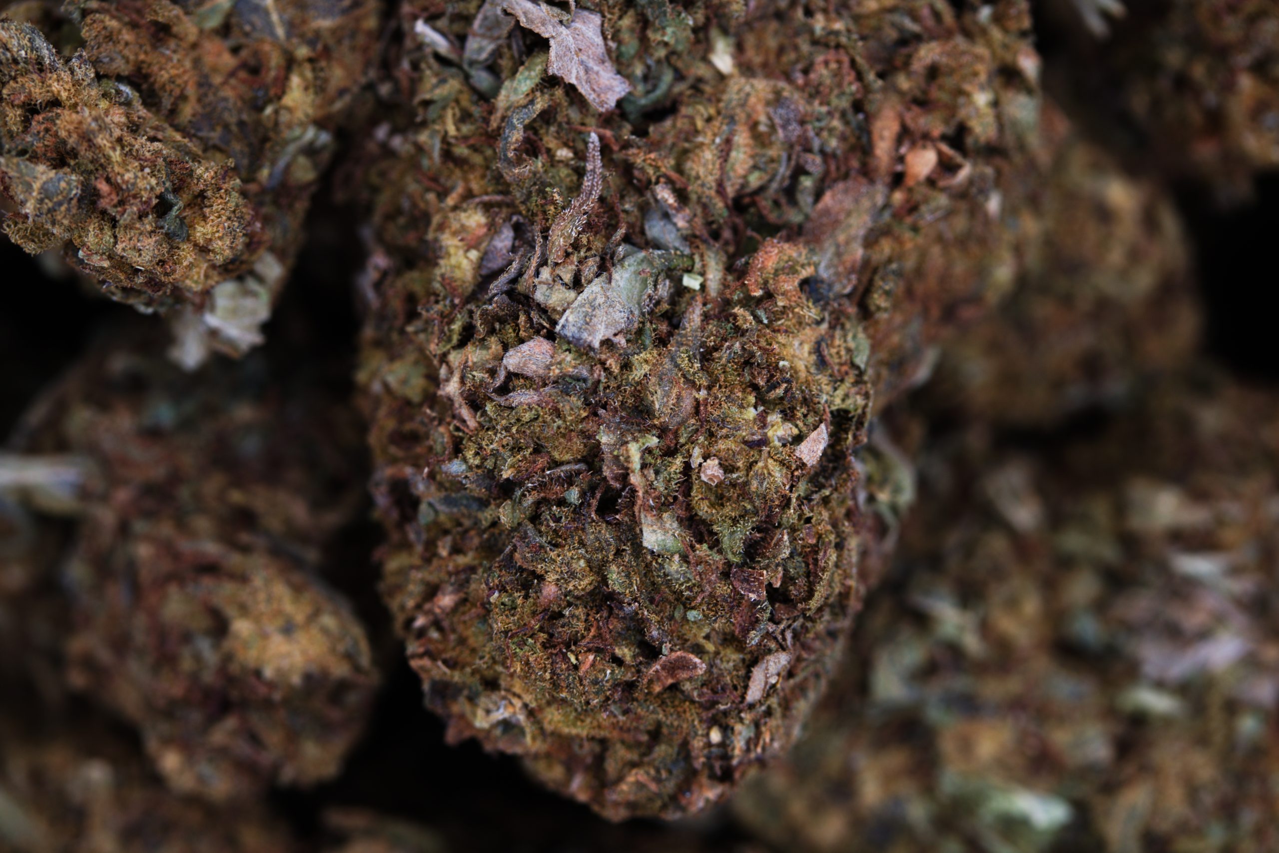 buy Kandy Kush online | Cannabis Dispensary