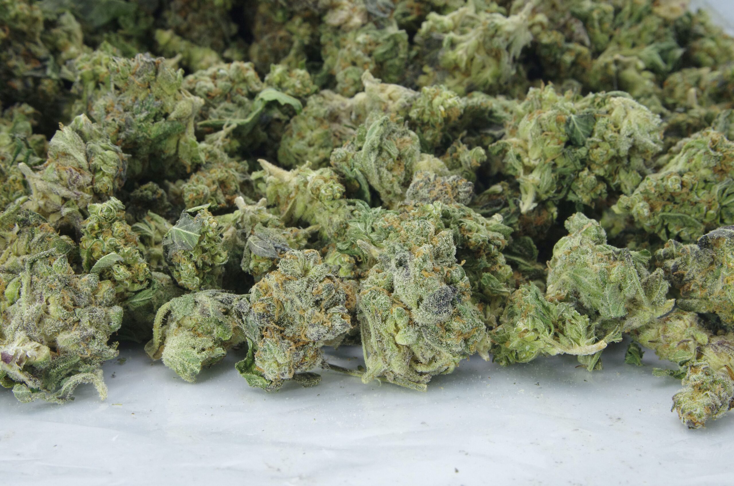 Buy All Gas OG Smalls (Oz special) | Canada Bliss Herbals