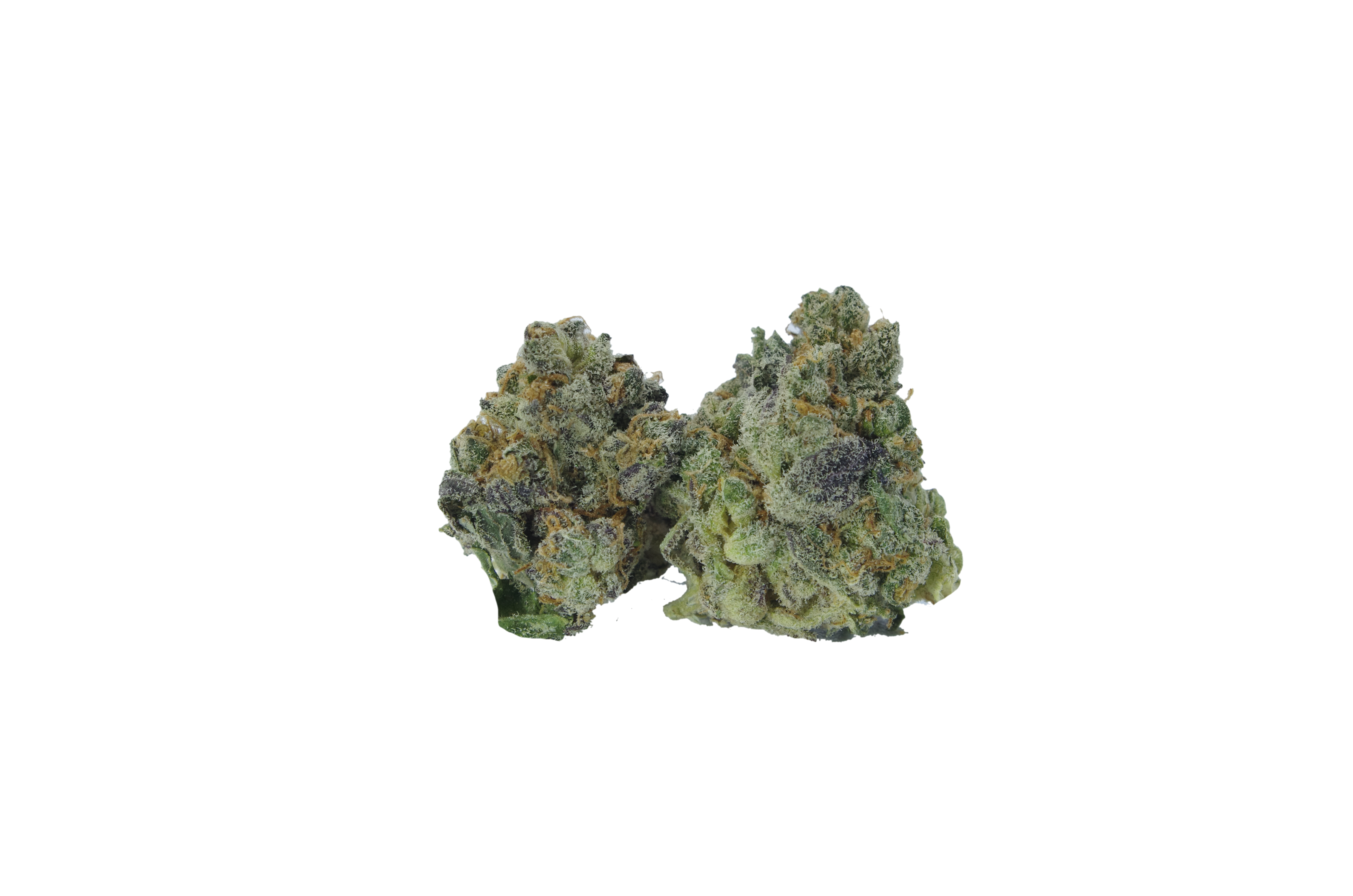 Buy All Gas OG Smalls (Oz special) | Canada Bliss Herbals