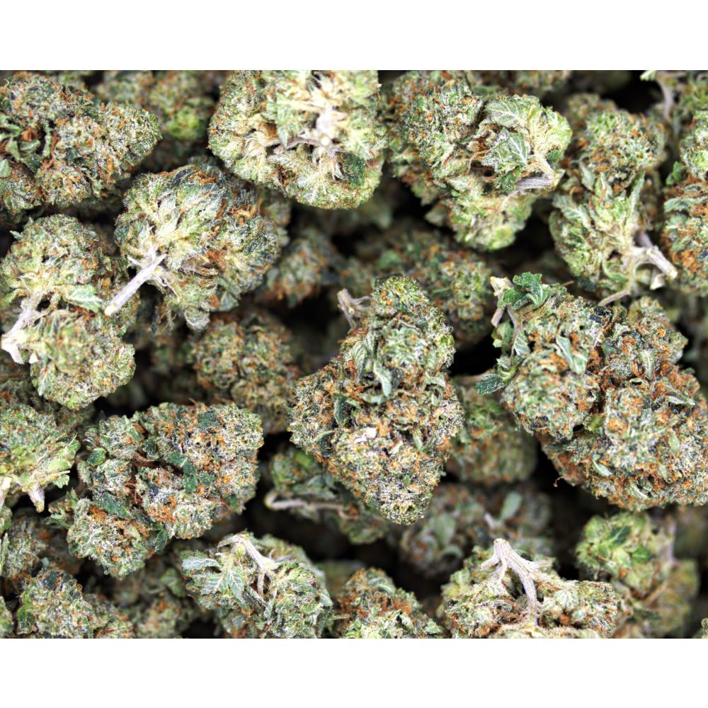 Buy Death Bubba (1/2lb) Online | Cannabis Dispensary