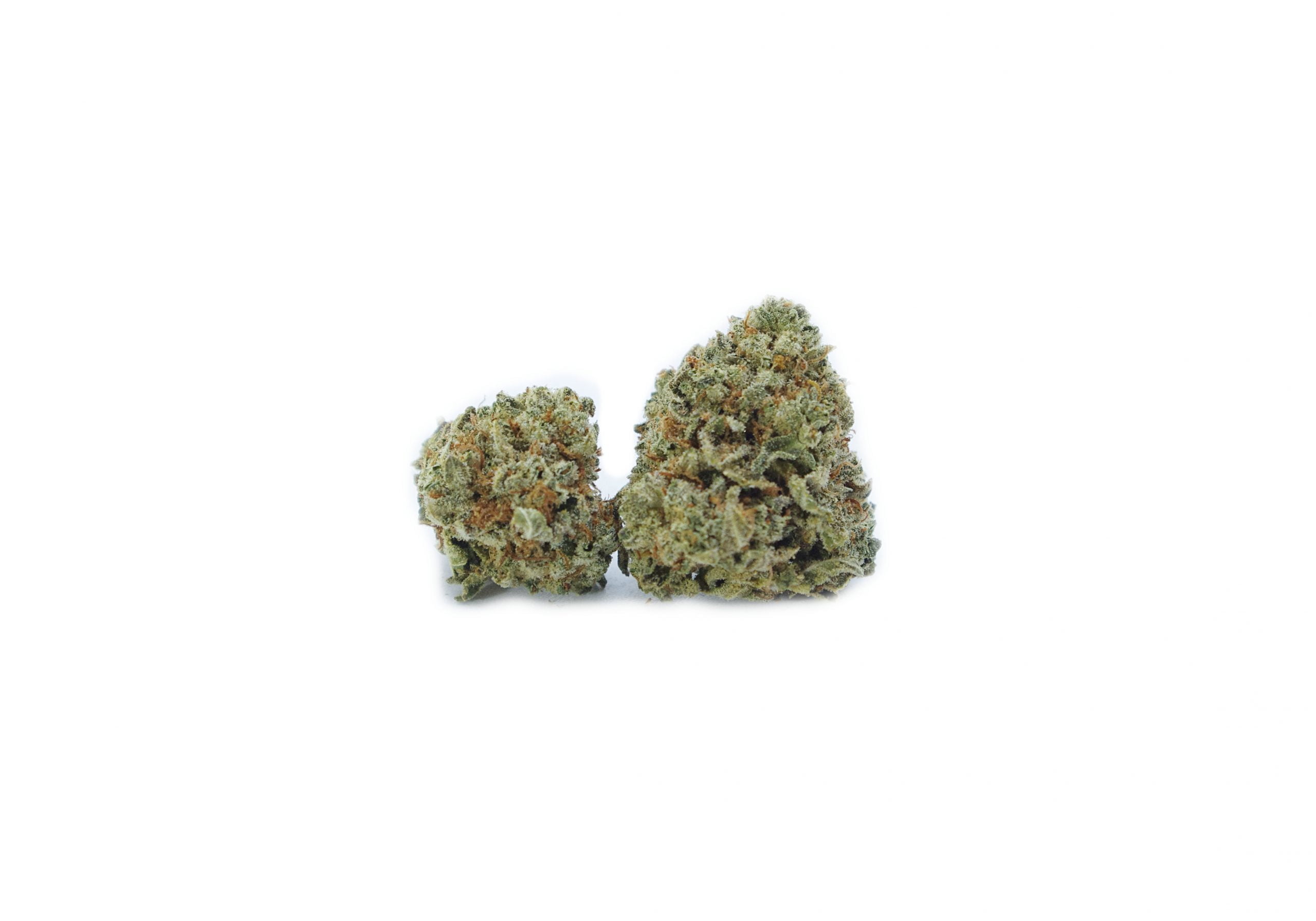 Buy Greasy Runtz Mids (Oz Special) | Cannabis Dispensary