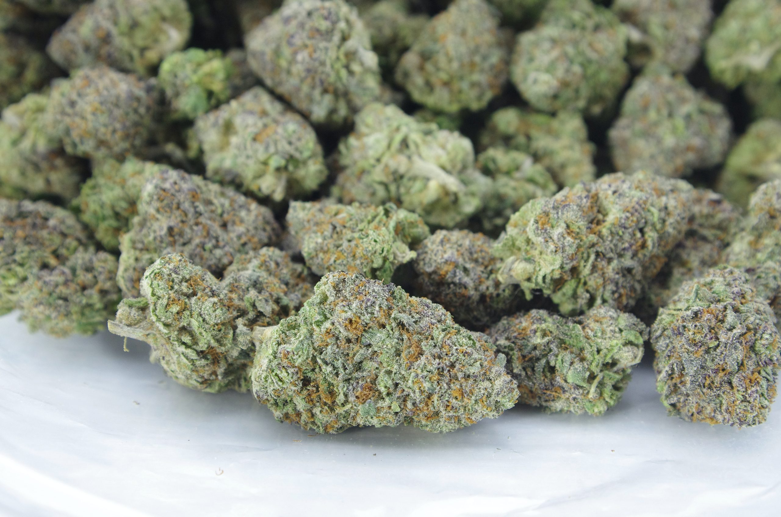 Buy Space Cake Oz Special | Cannabis Dispensary