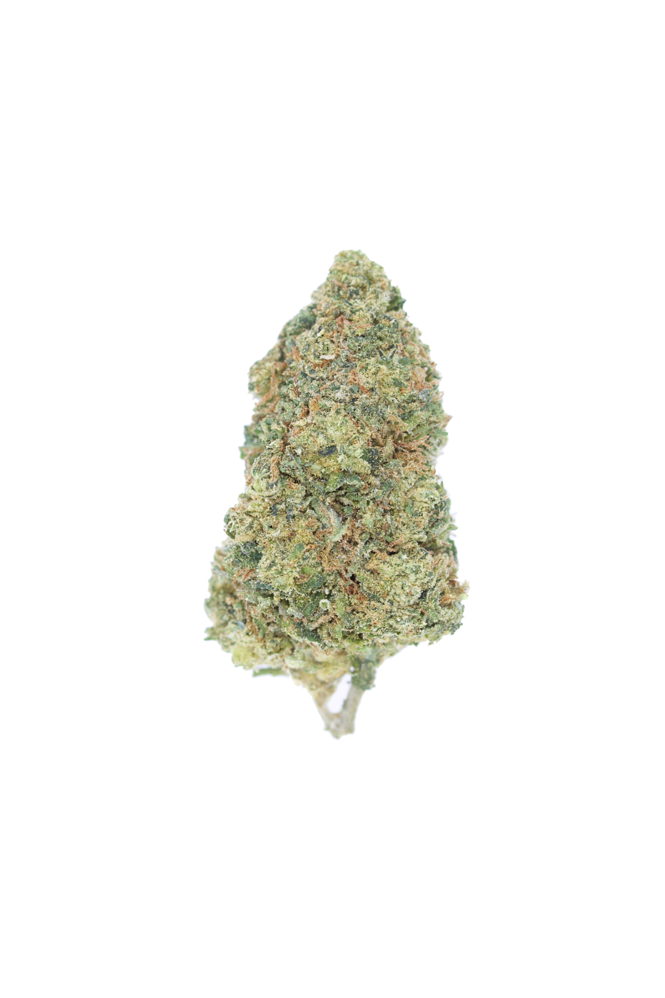 Buy UK Cheese Online | Cannabis Dispensary