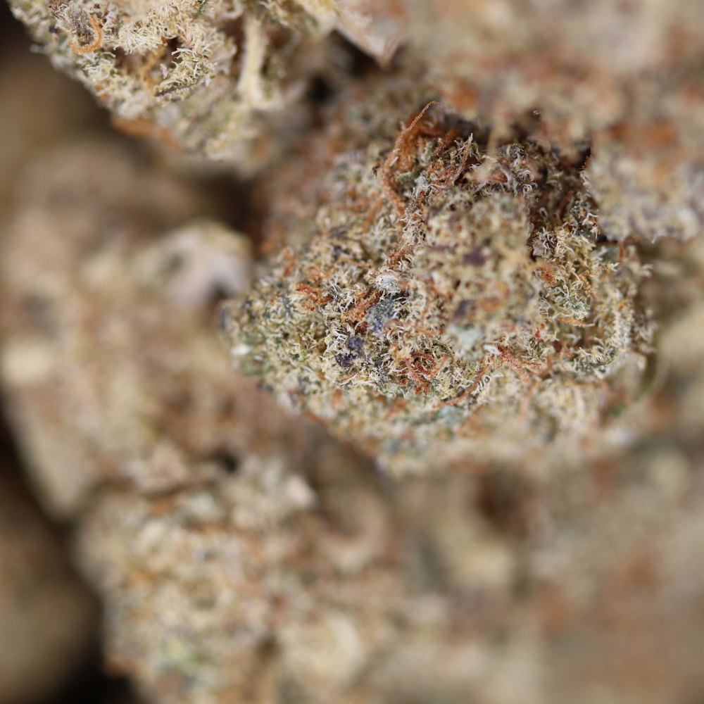Buy Cherry Cola Online | Cannabis Dispensary