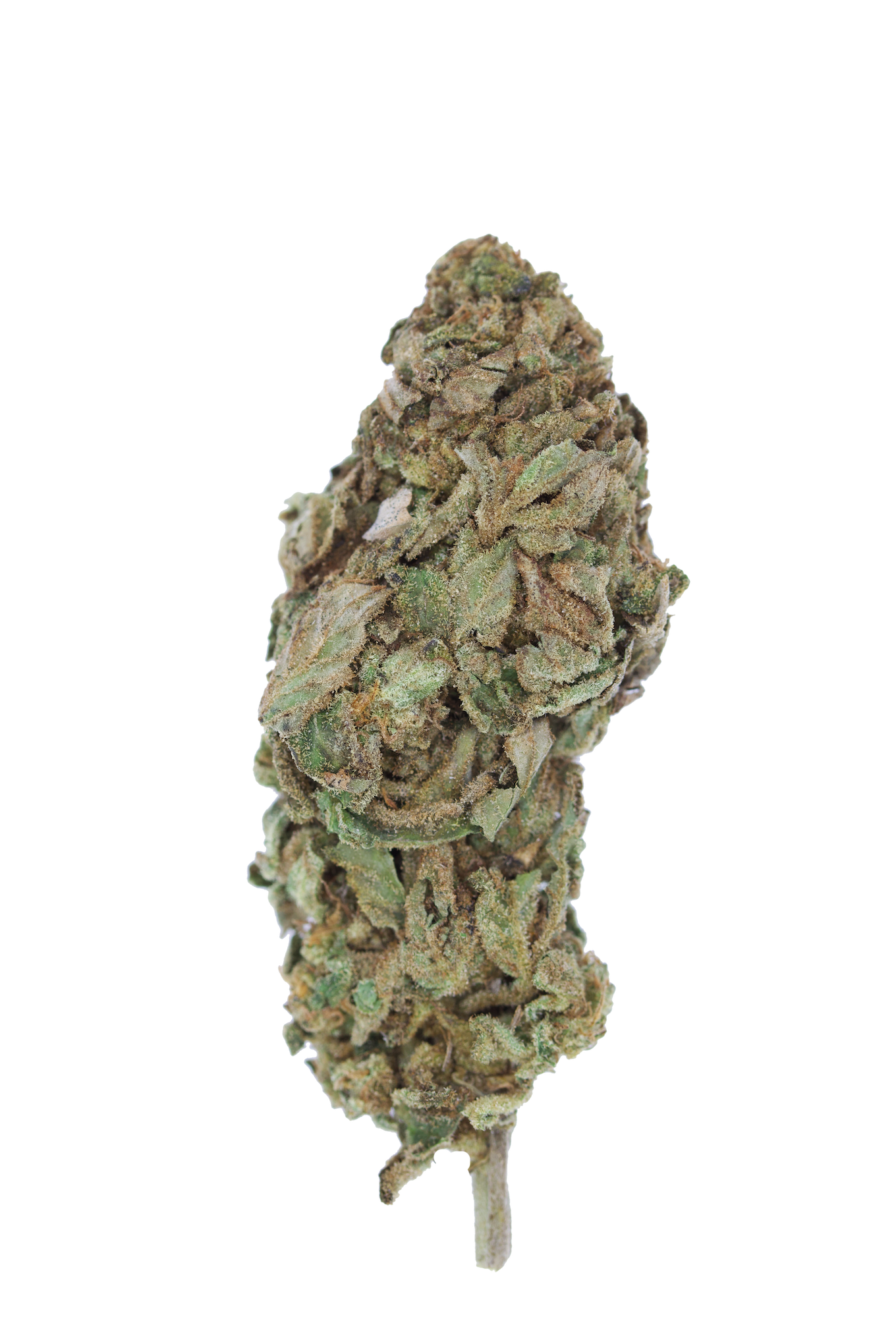 Buy Great White Shark OG | Happy Clouds