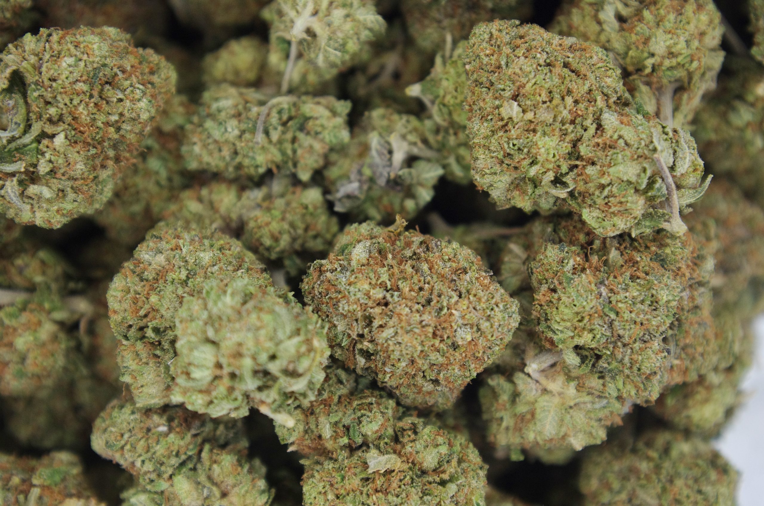 Master Kush – Happy Clouds