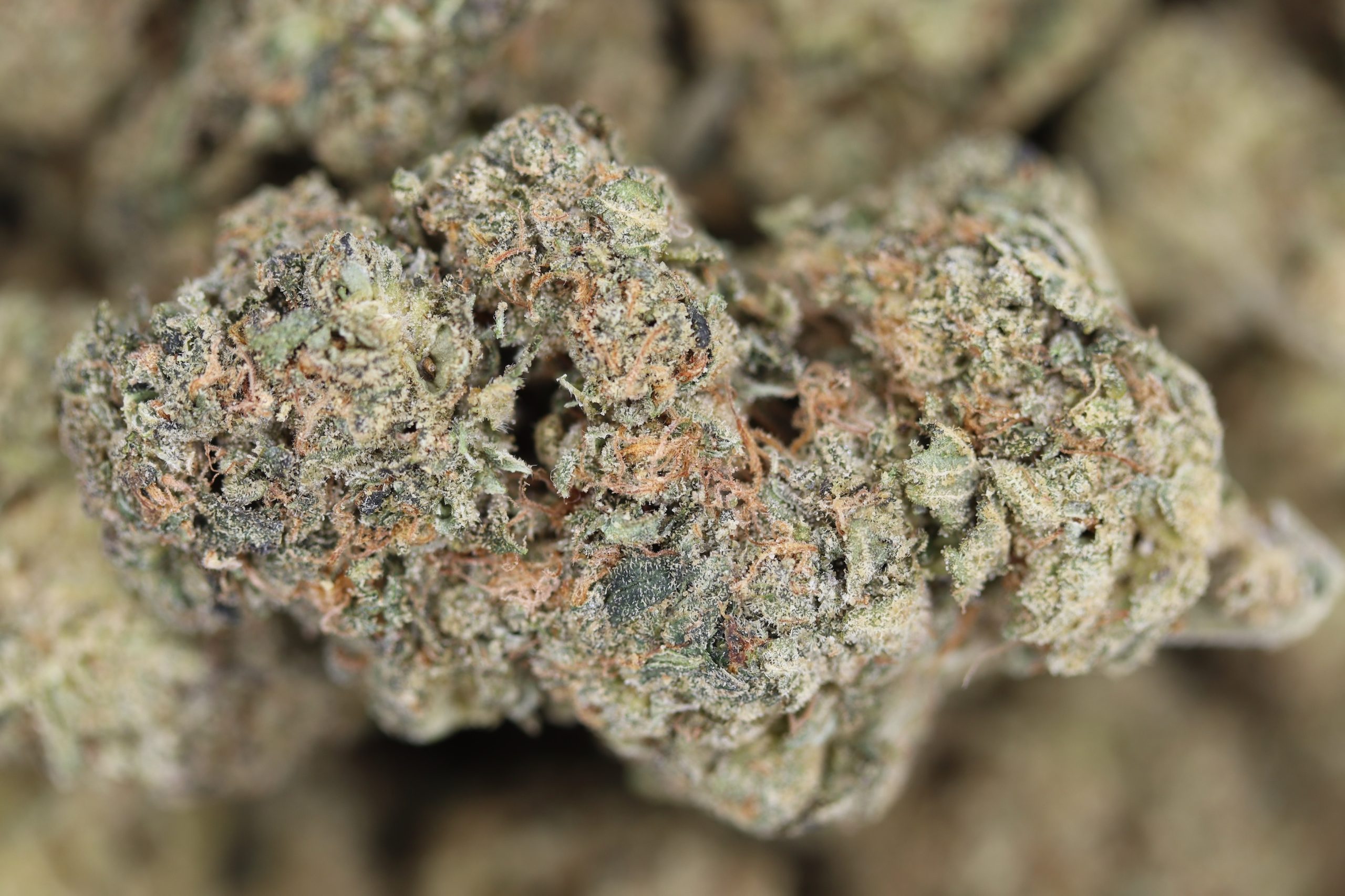 Buy Blue City Diesel Online | Cannabis Dispensary