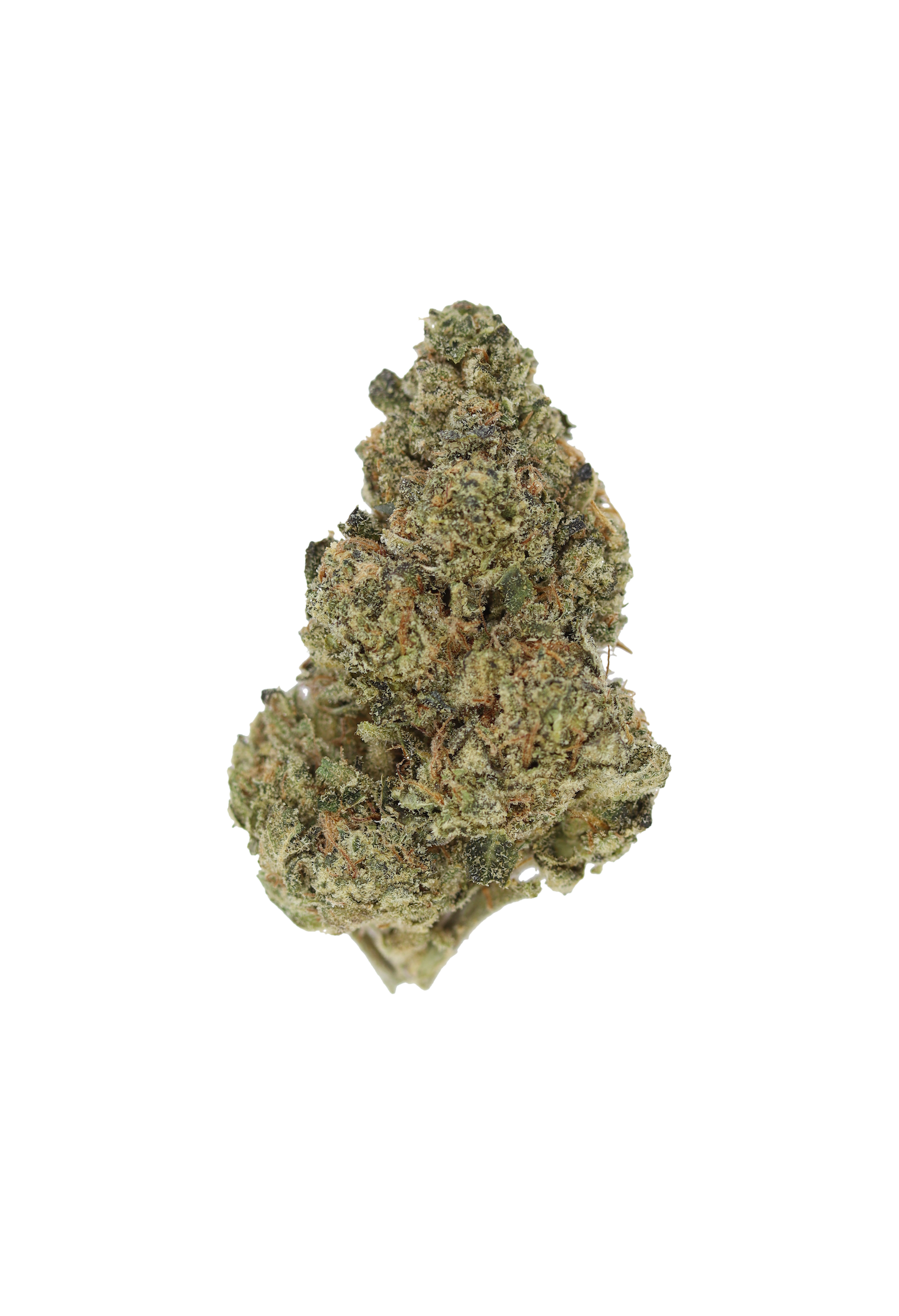 Buy Blue City Diesel Online | Cannabis Dispensary