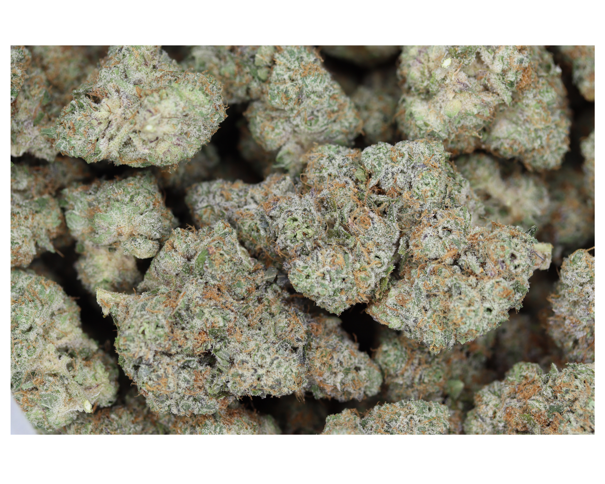 Buy Pink Berry Online | Cannabis Dispensary