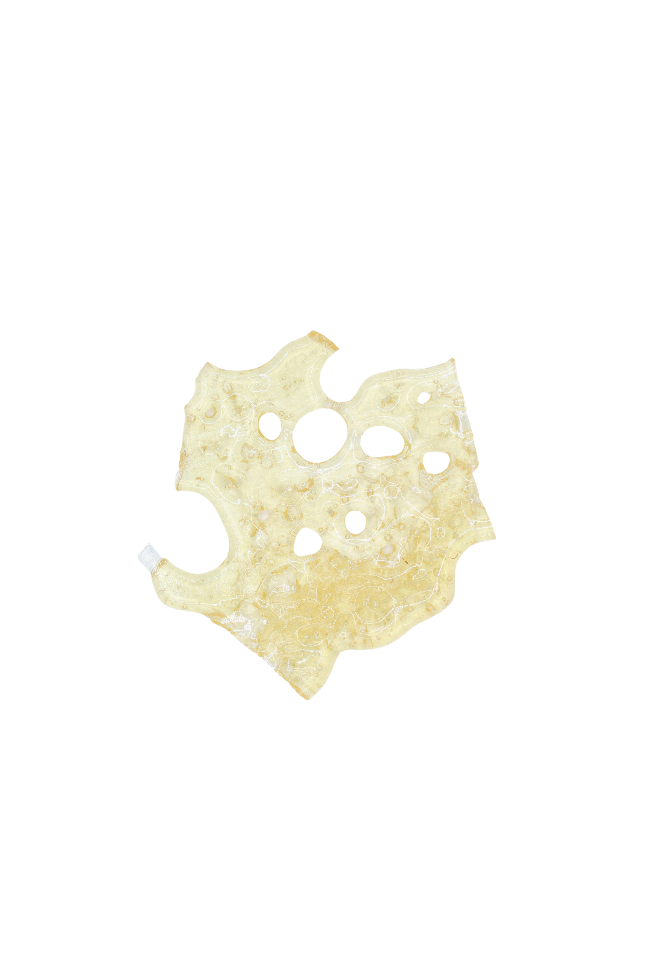 Buy Tuna Kush Shatter Online | Cannabis Dispensary Buy Tuna Kush Shatter Online | Cannabis Dispensary