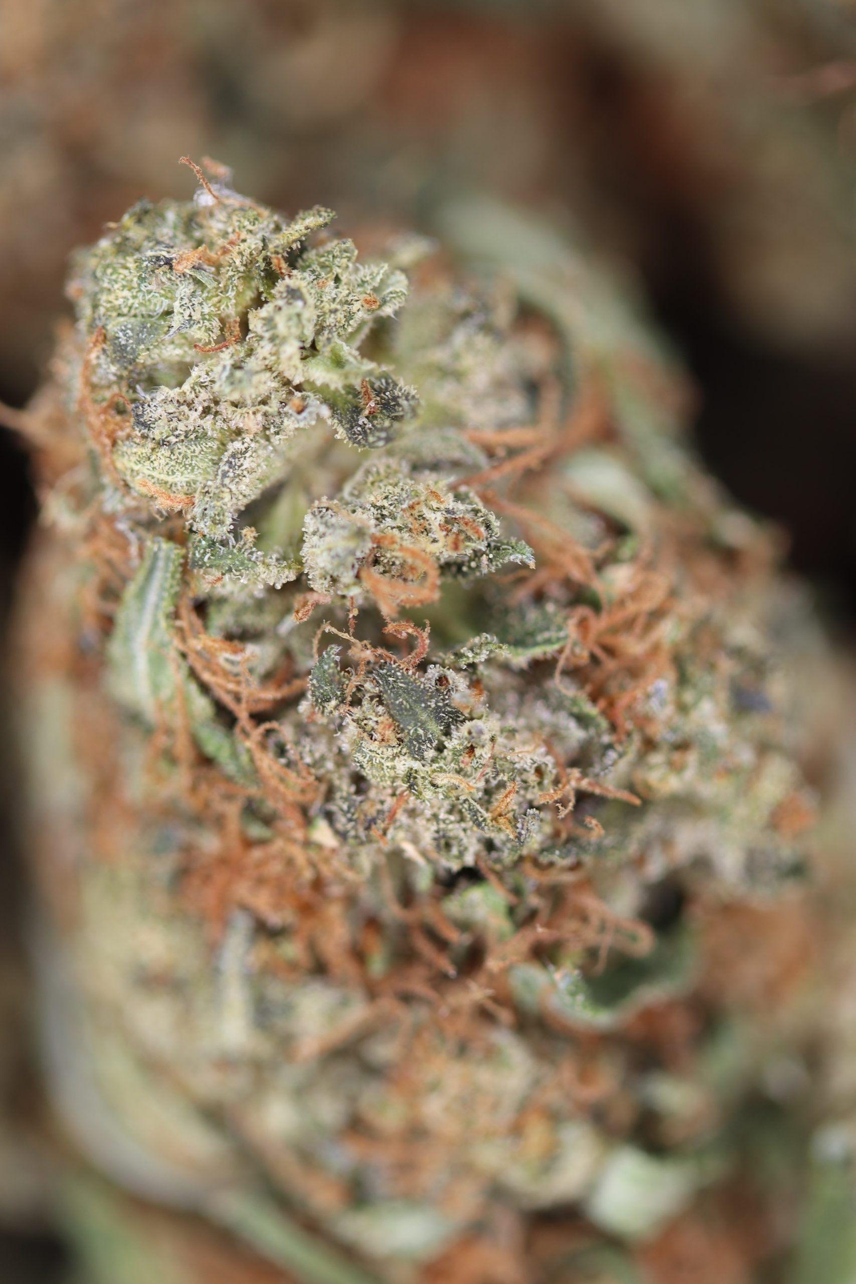 Buy NYC Diesel Online | Cannabis Dispensary