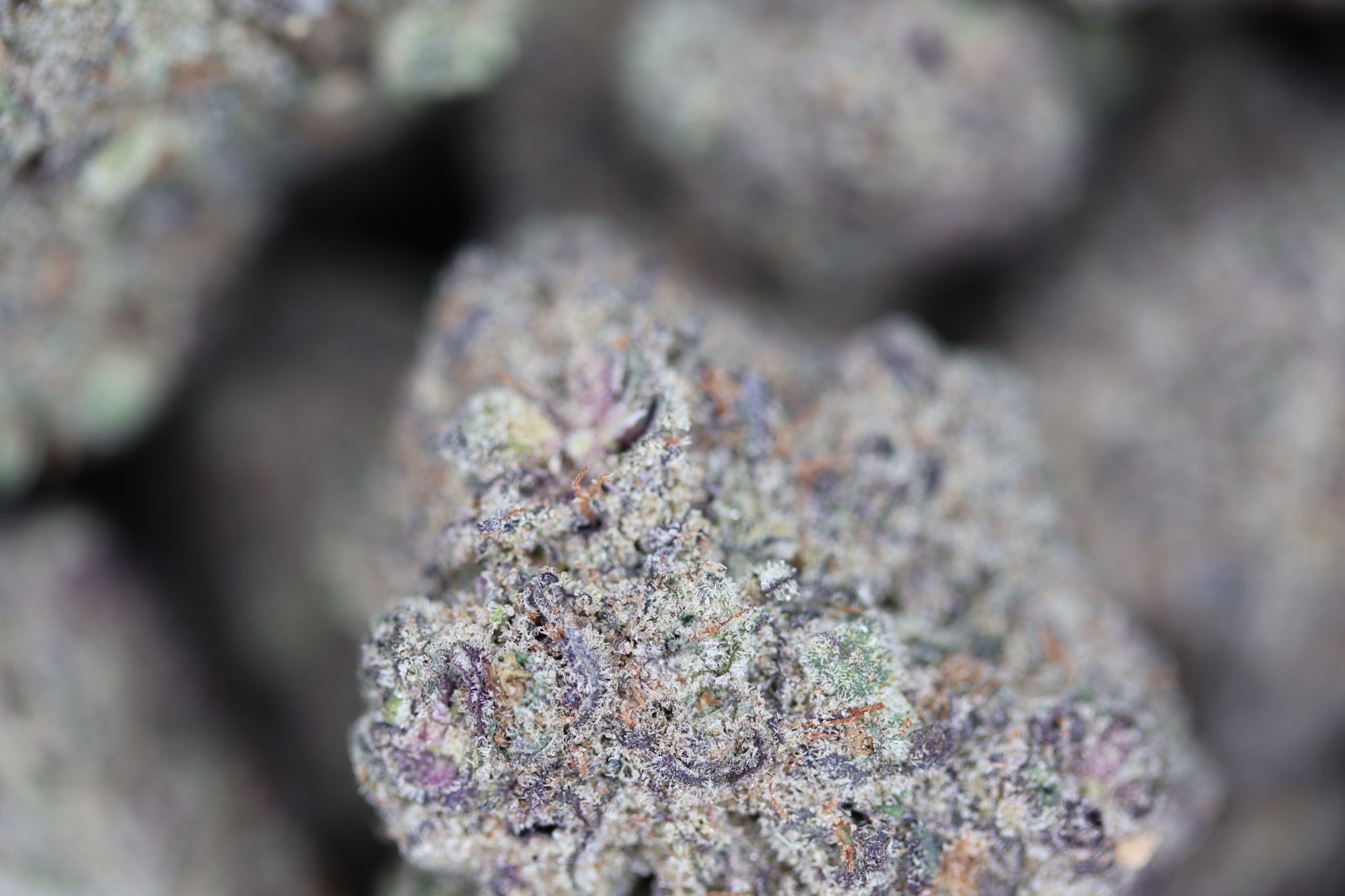 Buy Pineapple God Online | Cannabis Dispensary