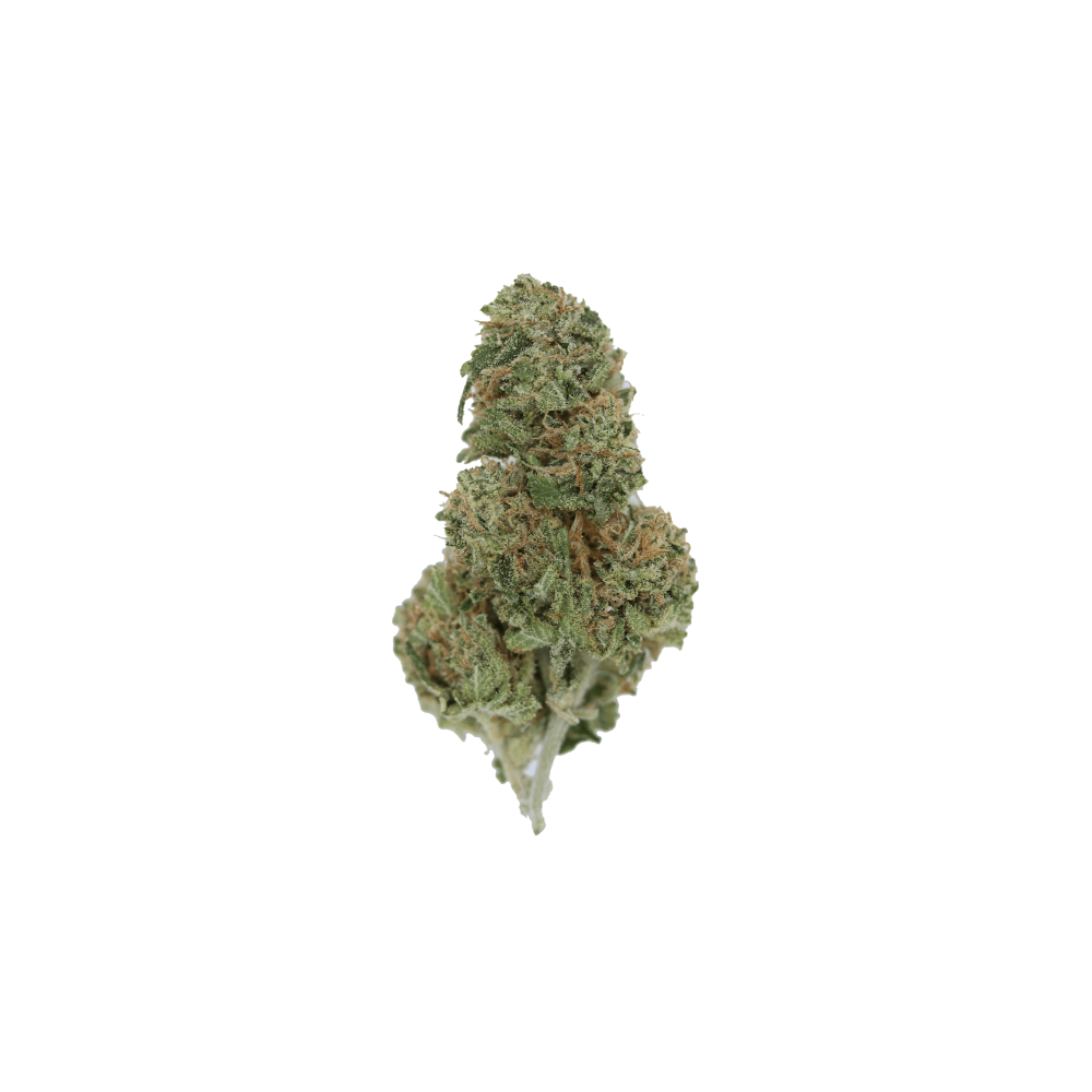 Buy Amnesia Online | Cannabis Dispensary
