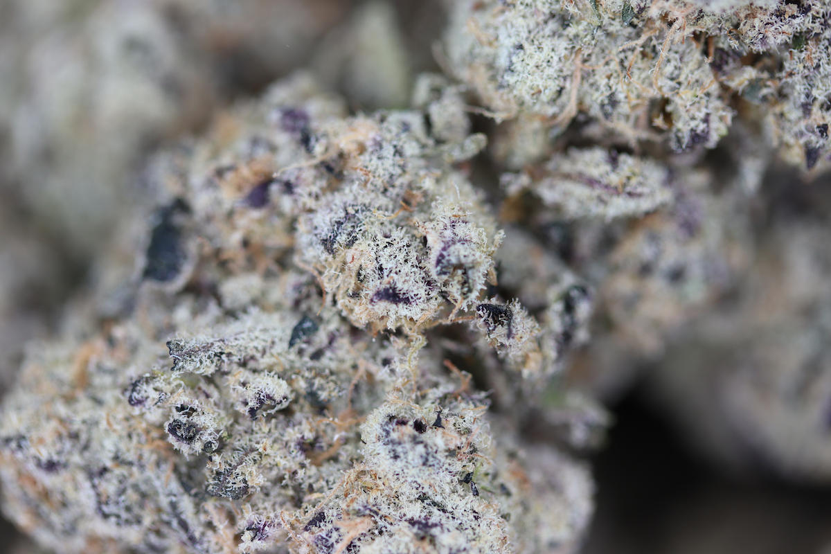 Buy Cap Junky Online | Cannabis Dispensary