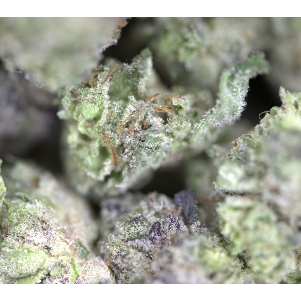 Buy Donkey Butter Smalls Online | Cannabis Dispensary
