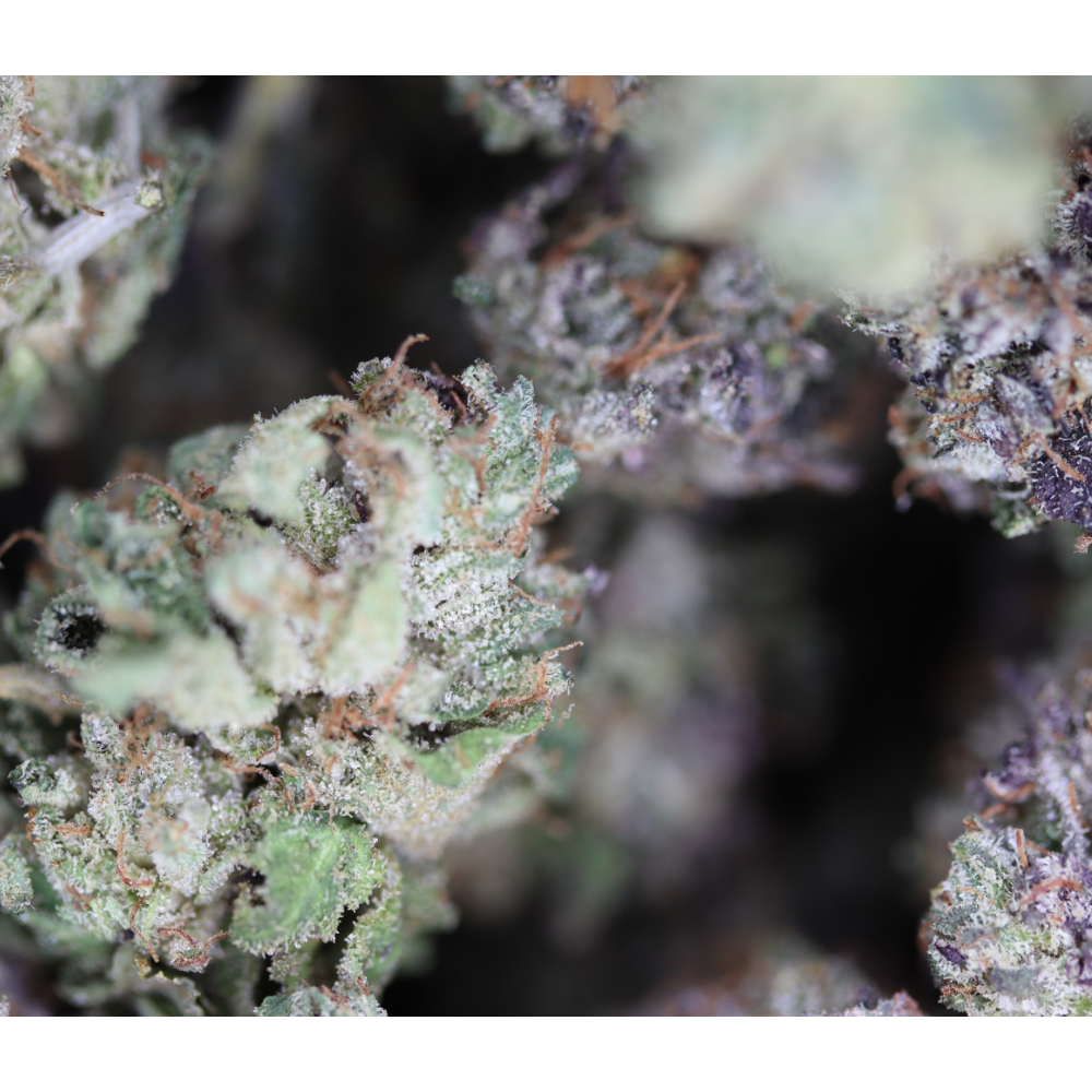 Buy Gas Mask Smalls Online | Cannabis Dispensary