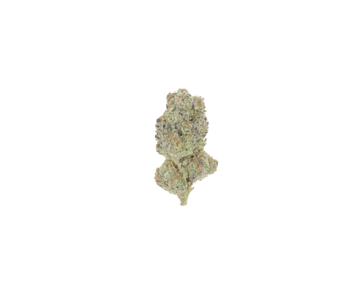 Buy Island Exotics - Durban Poison (1/2lb) Online | Cannabis Dispensary