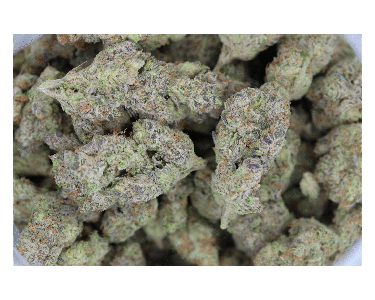 Buy Island Exotics - Durban Poison (1/2lb) Online | Cannabis Dispensary